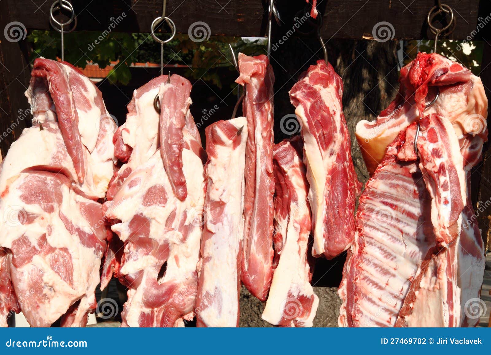 Fresh pig meat stock photo. Image of shank, pork, produce - 27469702