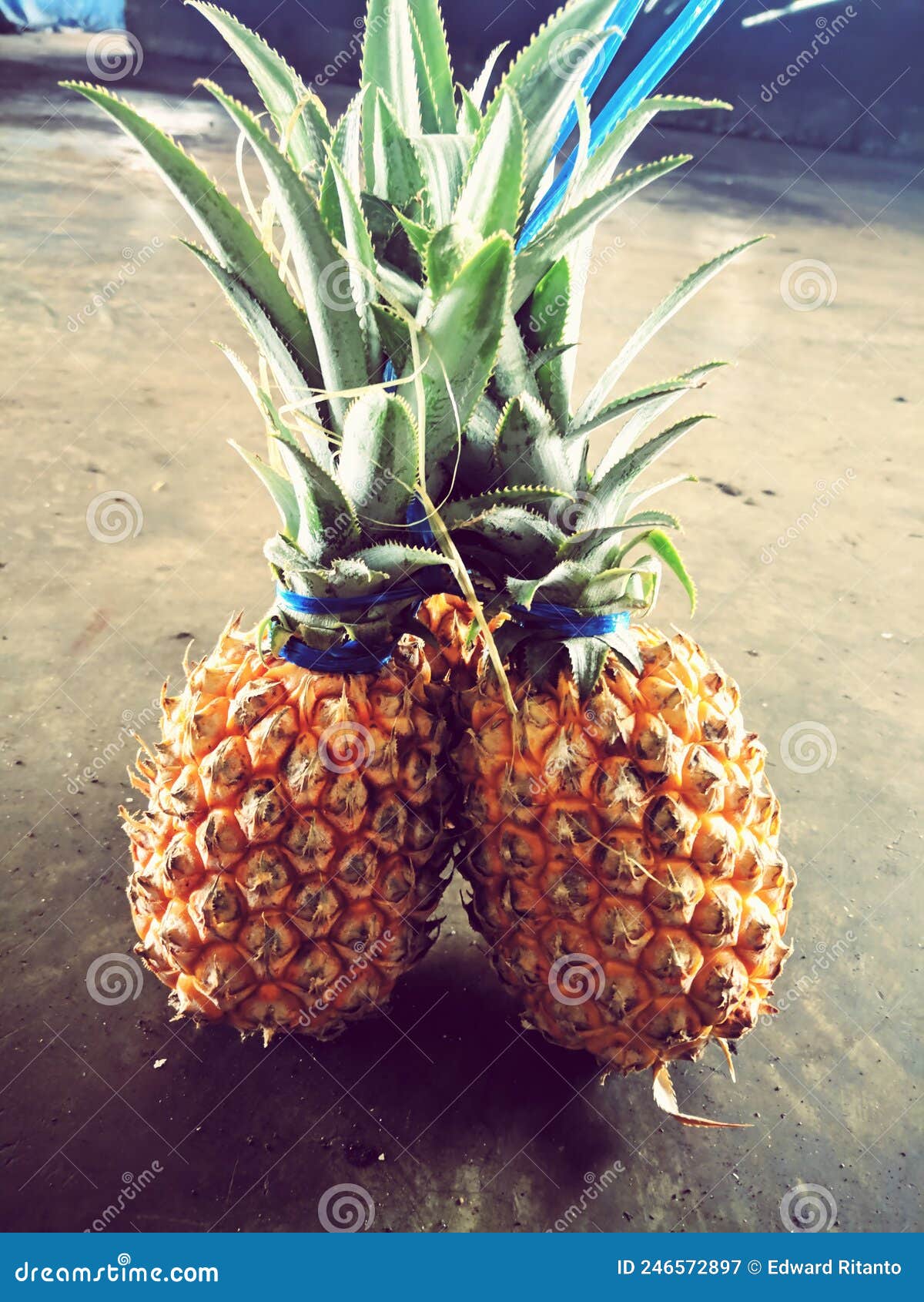 Fresh Pinapple Ready To Eat Stock Image - Image of fruit, juice: 246572897
