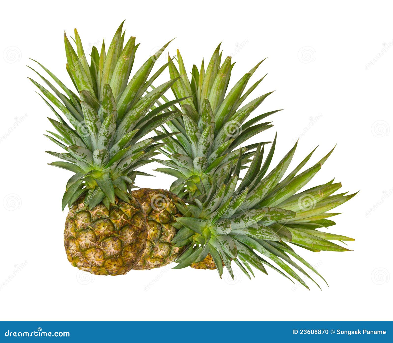 Fresh pineapple stock photo. Image of antioxidant, juicy - 23608870
