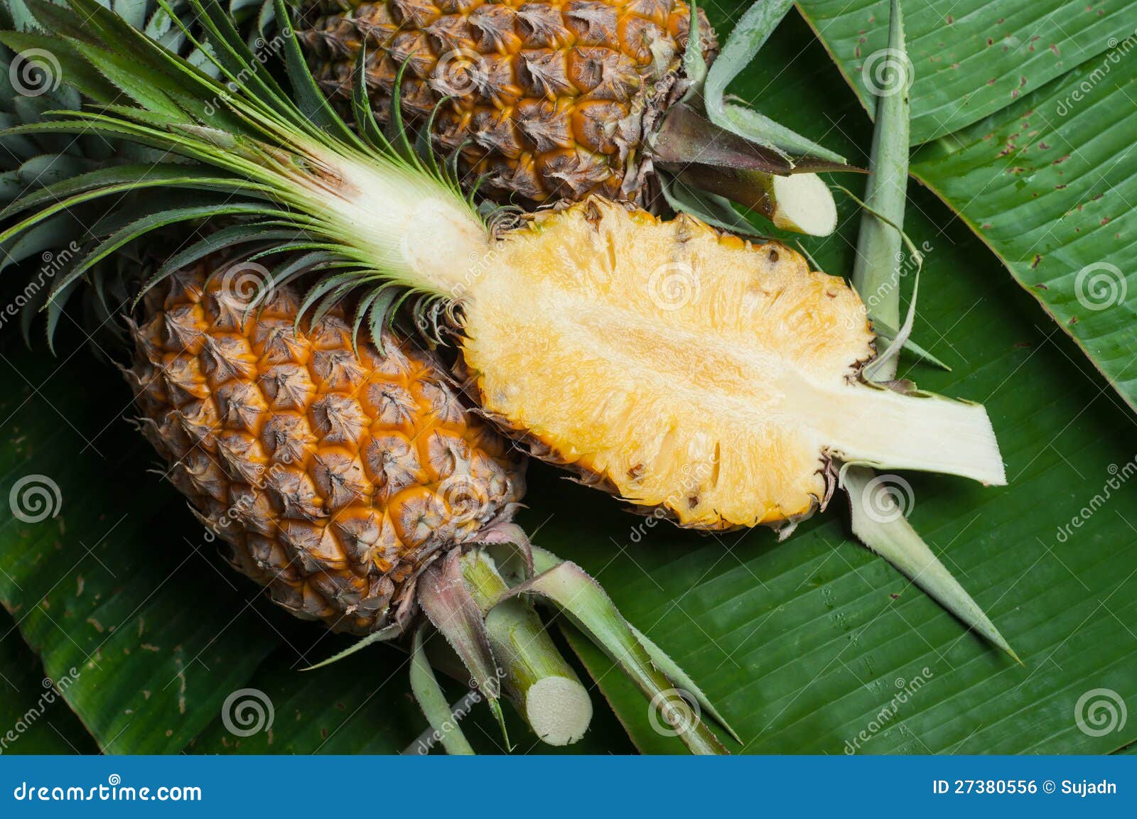 Fresh Pineapple stock photo. Image of ananas, color, apple - 27380556