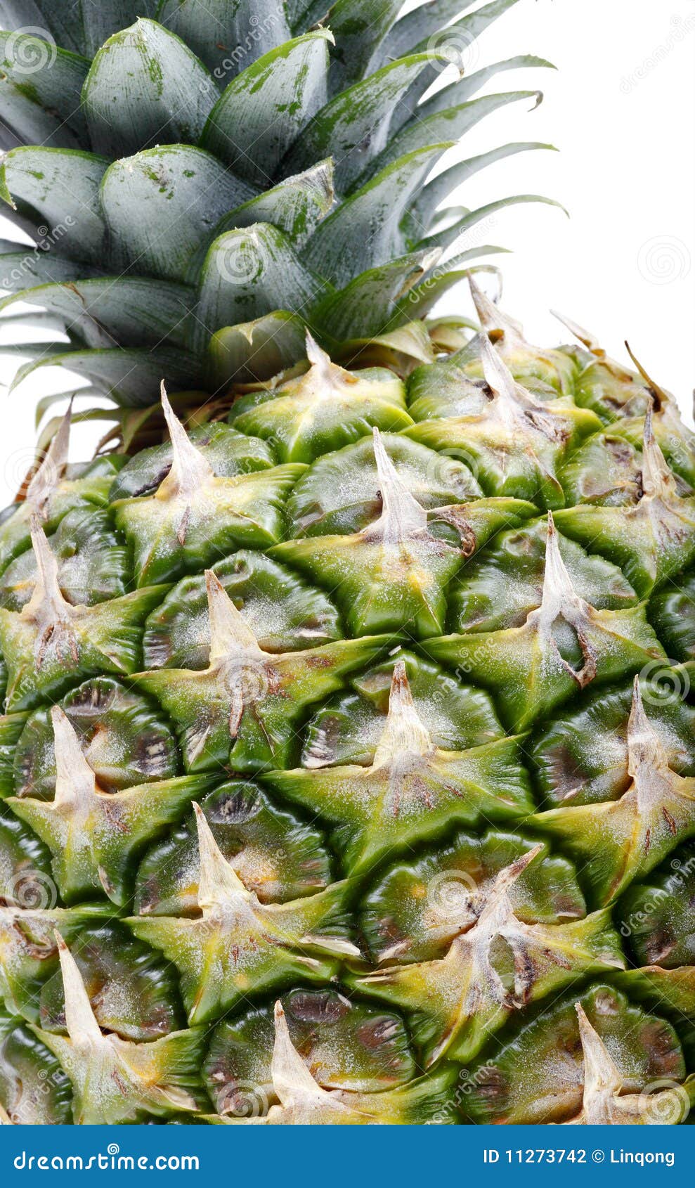Fresh pineapple close-up stock photo. Image of natural - 11273742