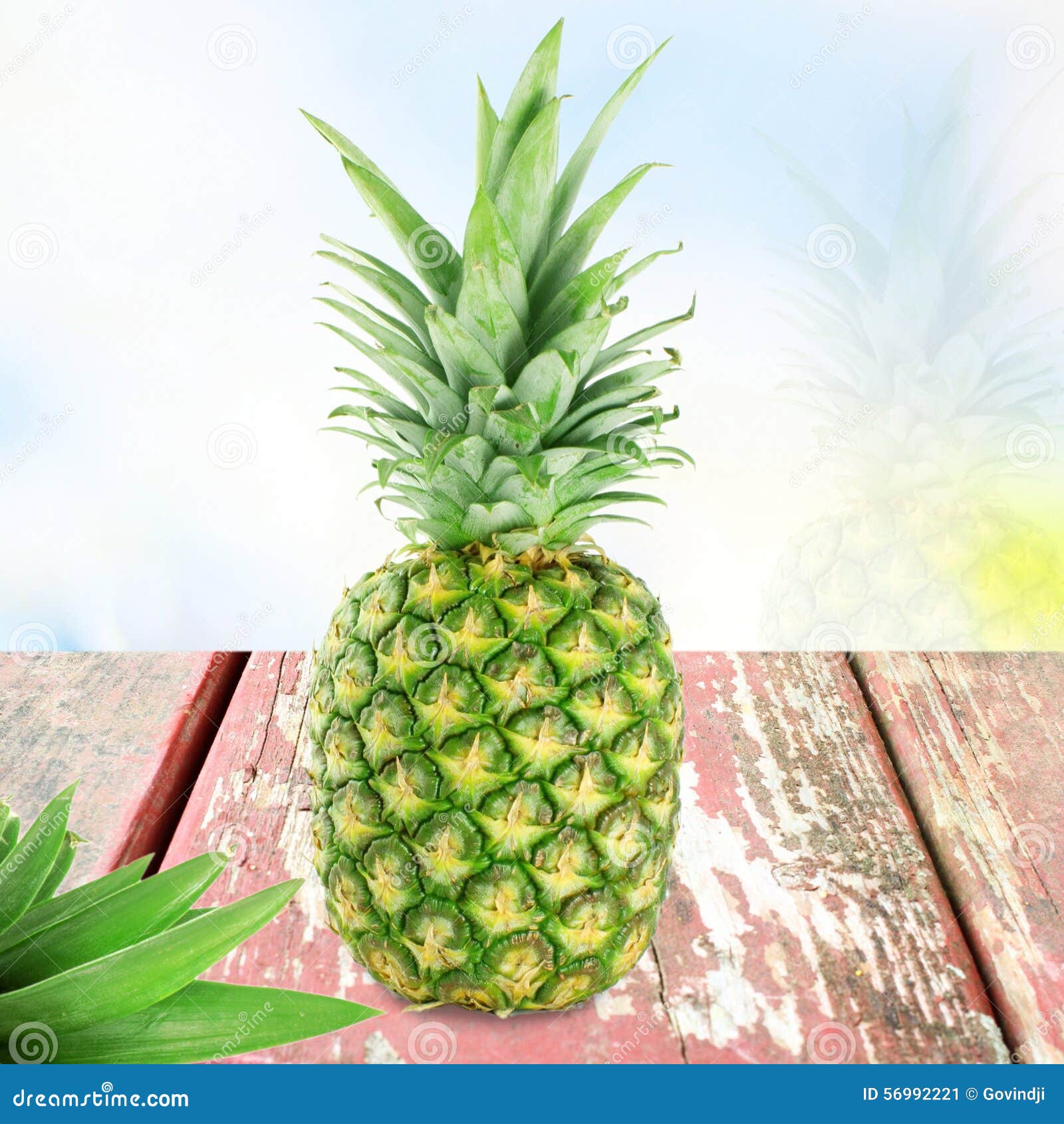 Fresh pineapple fruit stock image. Image of organic, closeup - 56992221