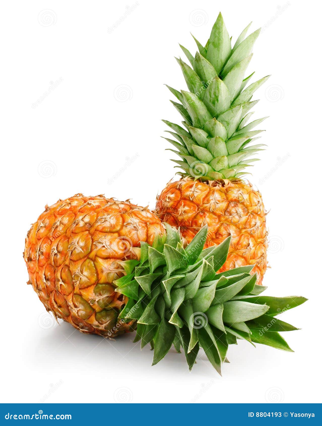 Fresh Pineapple Fruits with Green Leaves Stock Image - Image of meals ...