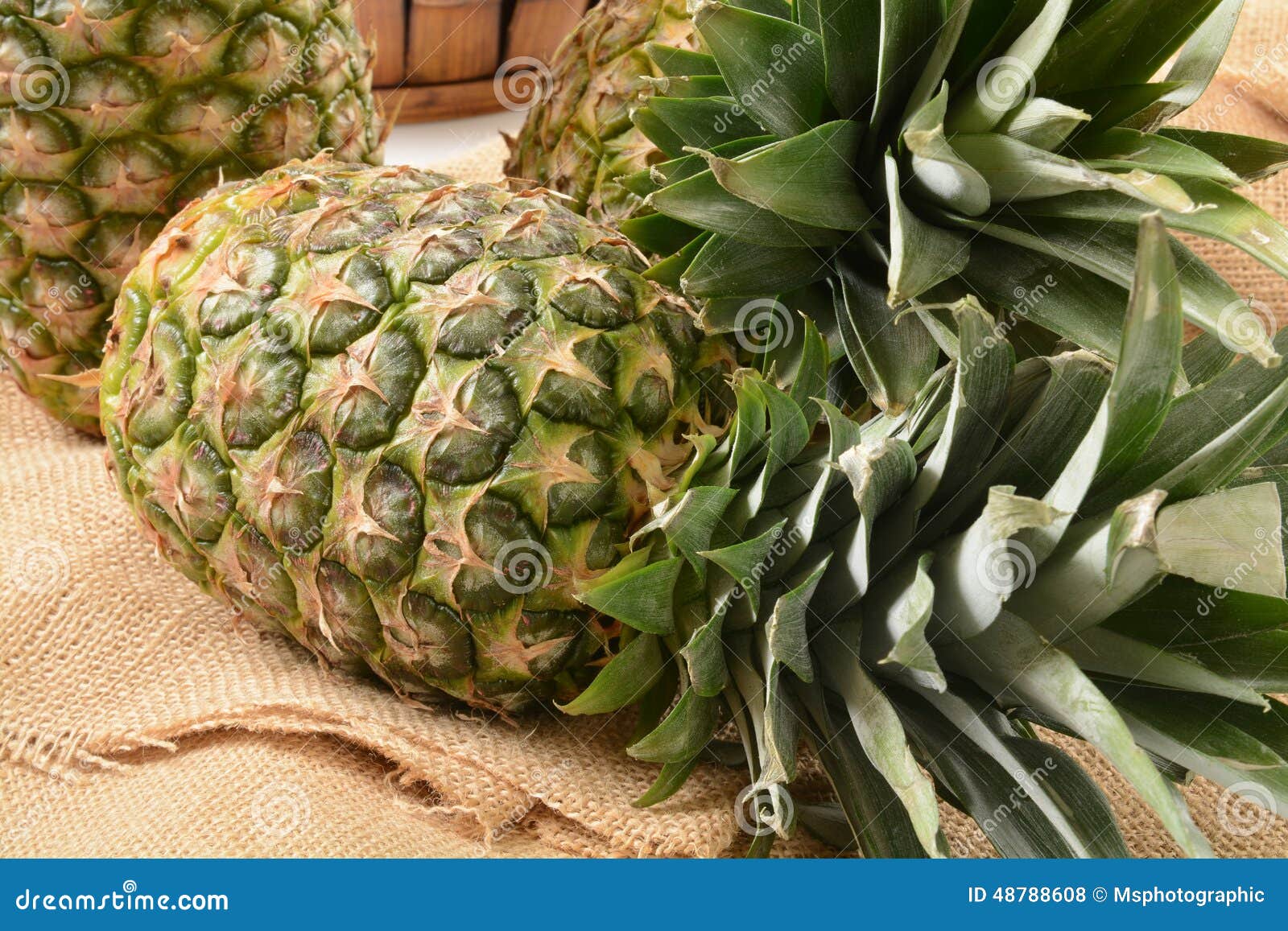 Fresh pineapple stock photo. Image of nutritous, healthy - 48788608