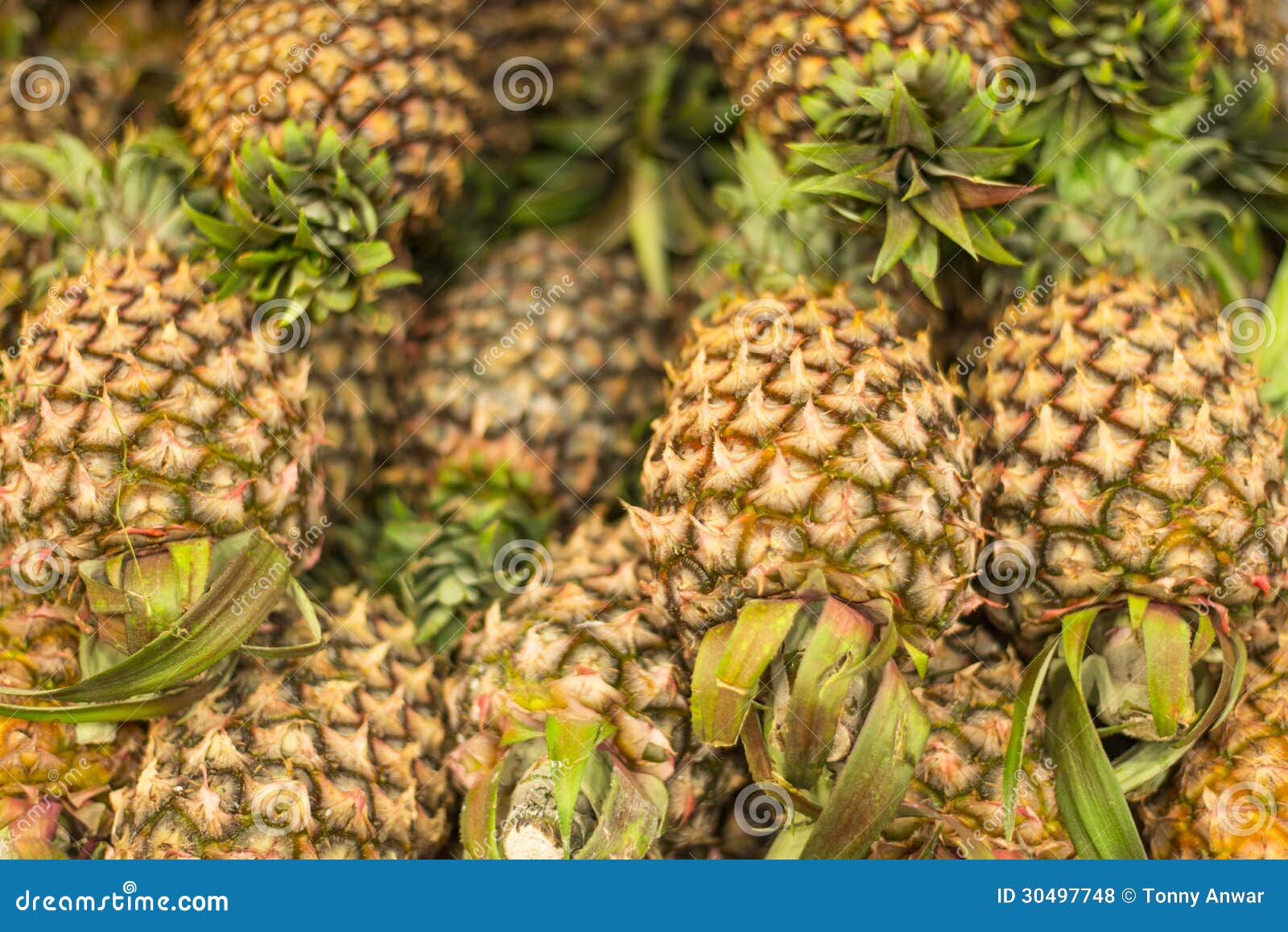Fresh Pineapple stock photo. Image of market, fresh, juicy - 30497748