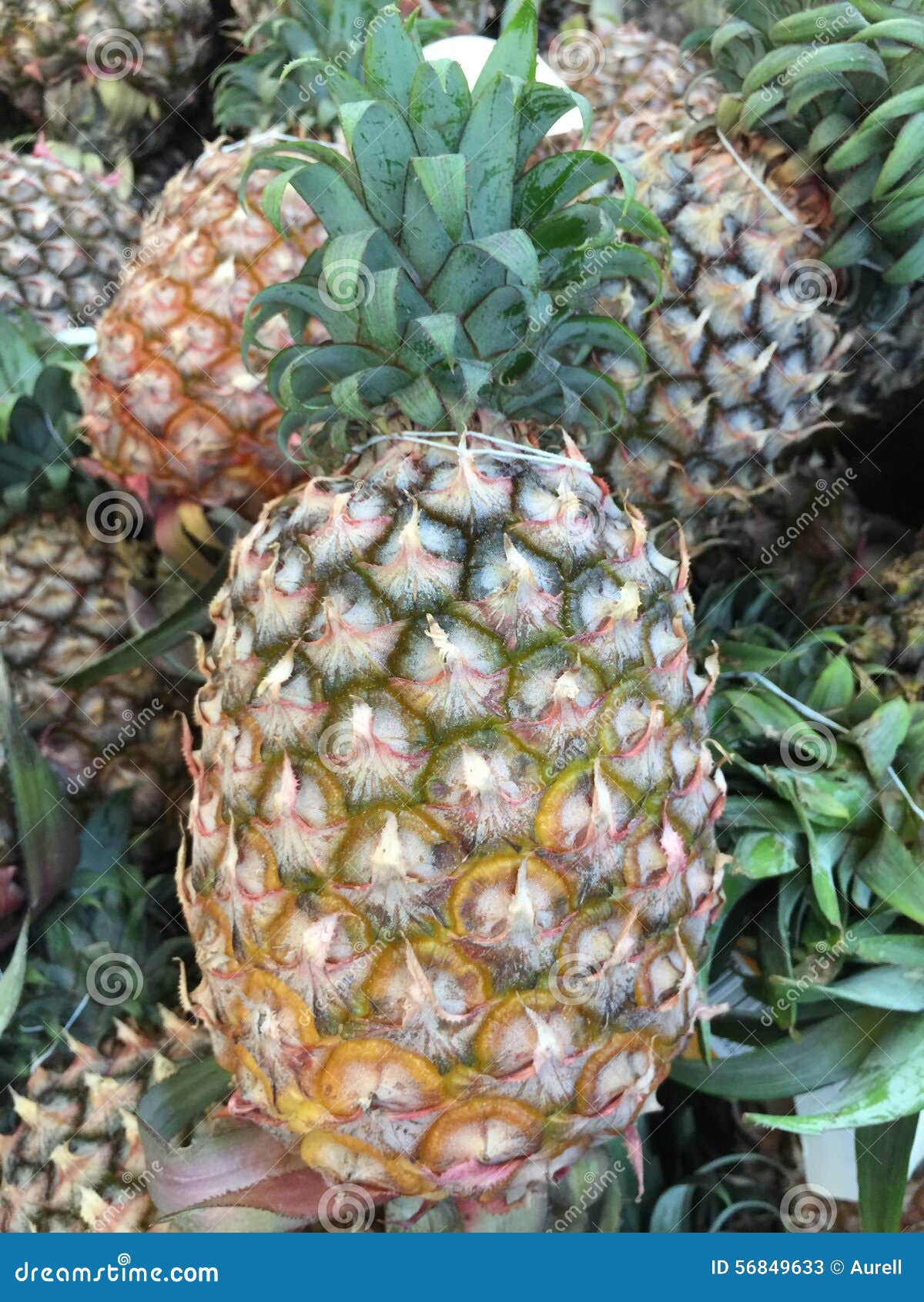 Fresh pineapple stock image. Image of healthy, fiber - 56849633