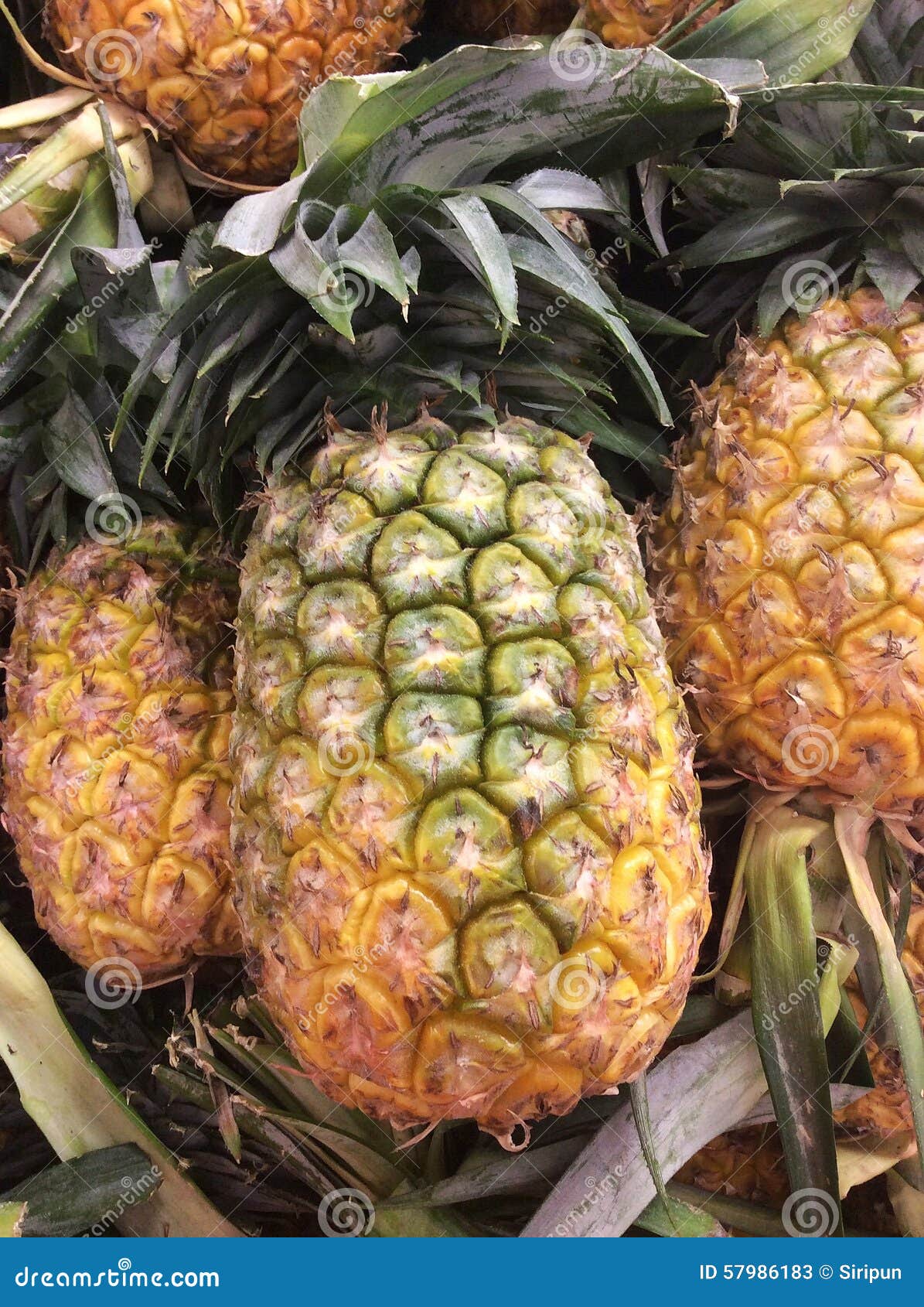 Fresh Pineapple Tropical Fruit Stock Image - Image of sweet, pineapple ...