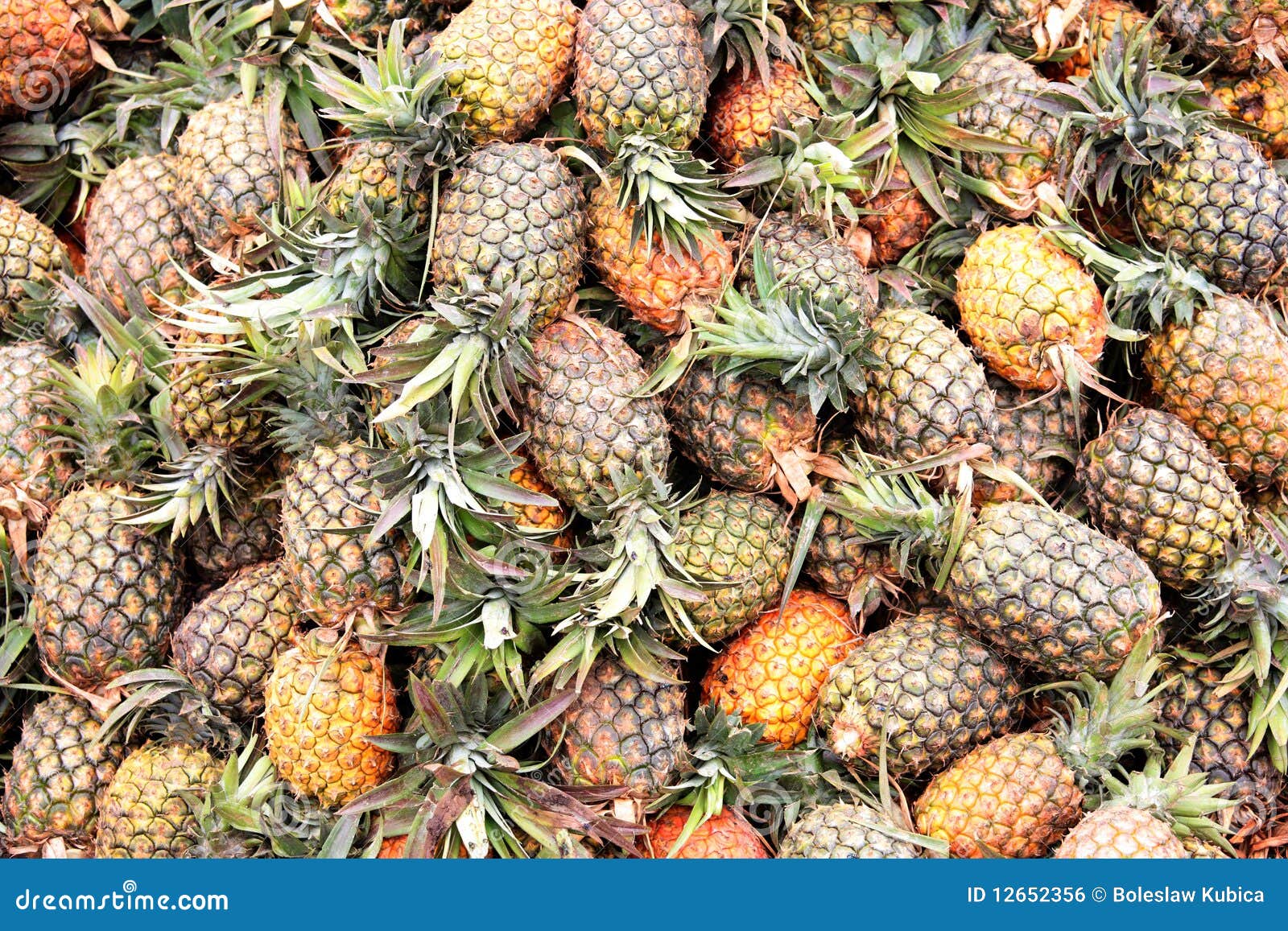 Fresh Pineapples at an Outdoor Market Stock Photo - Image of pineapples ...