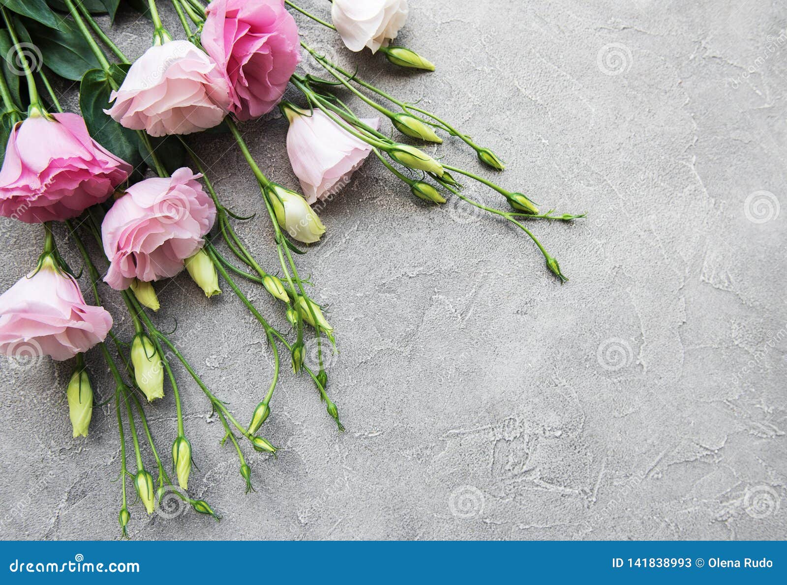 Fresh pink eustoma flowers stock image. Image of bouquet - 141838993