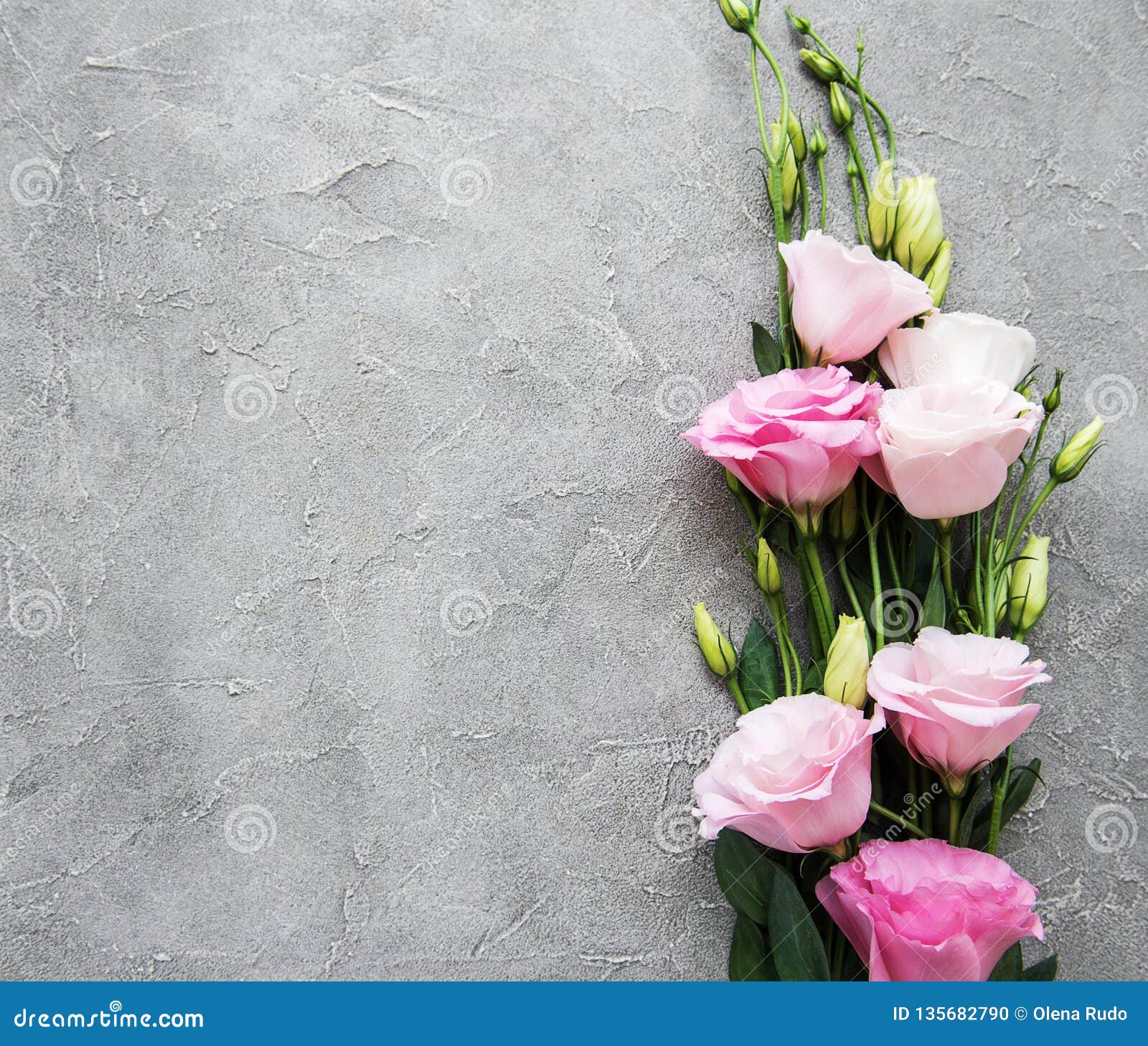 Fresh pink eustoma flowers stock photo. Image of elegance - 135682790