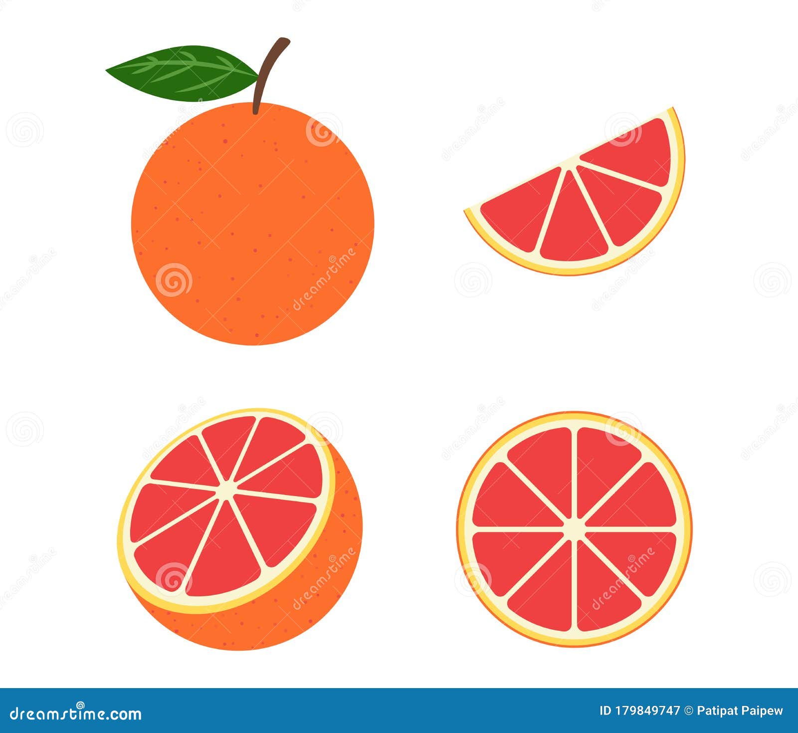 Grapefruit Vector Set | CartoonDealer.com #111641873