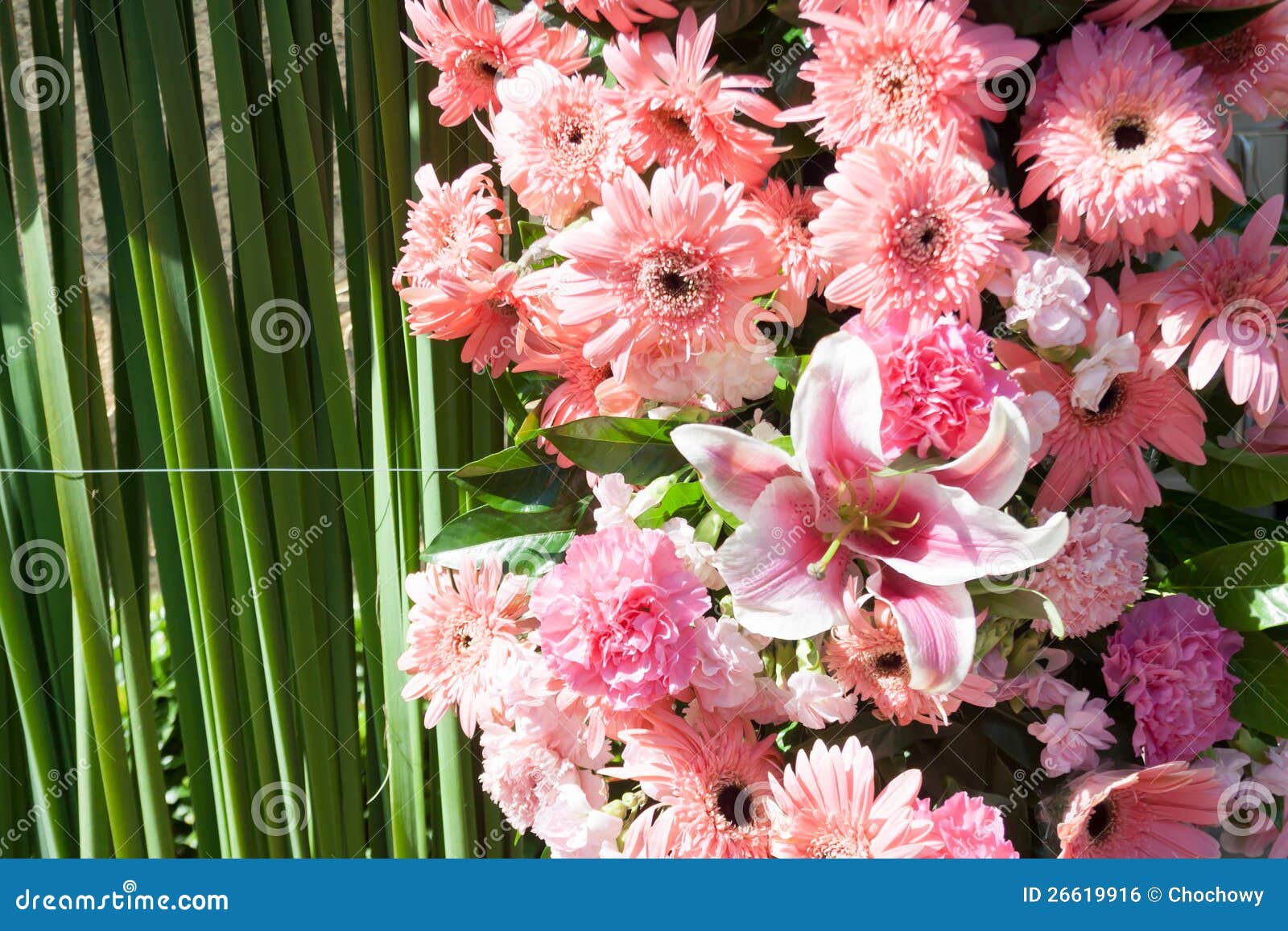 Fresh Pink Lily and Gerbera Flower Stock Photo - Image of bright, mixed ...