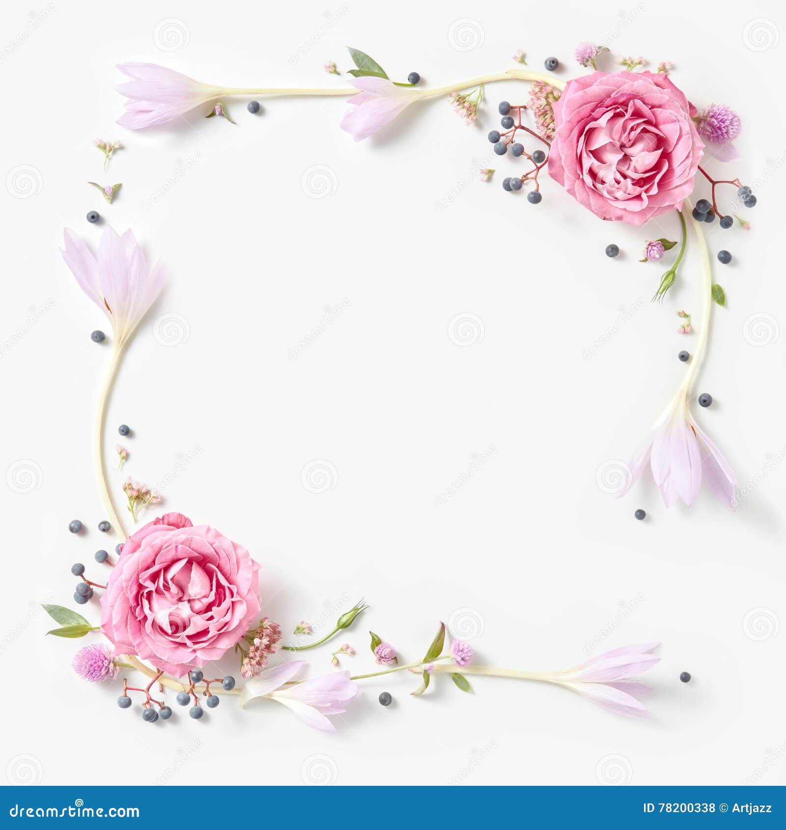 Fresh Pink Roses Frame Border Isolated Stock Photo - Image of abstract ...