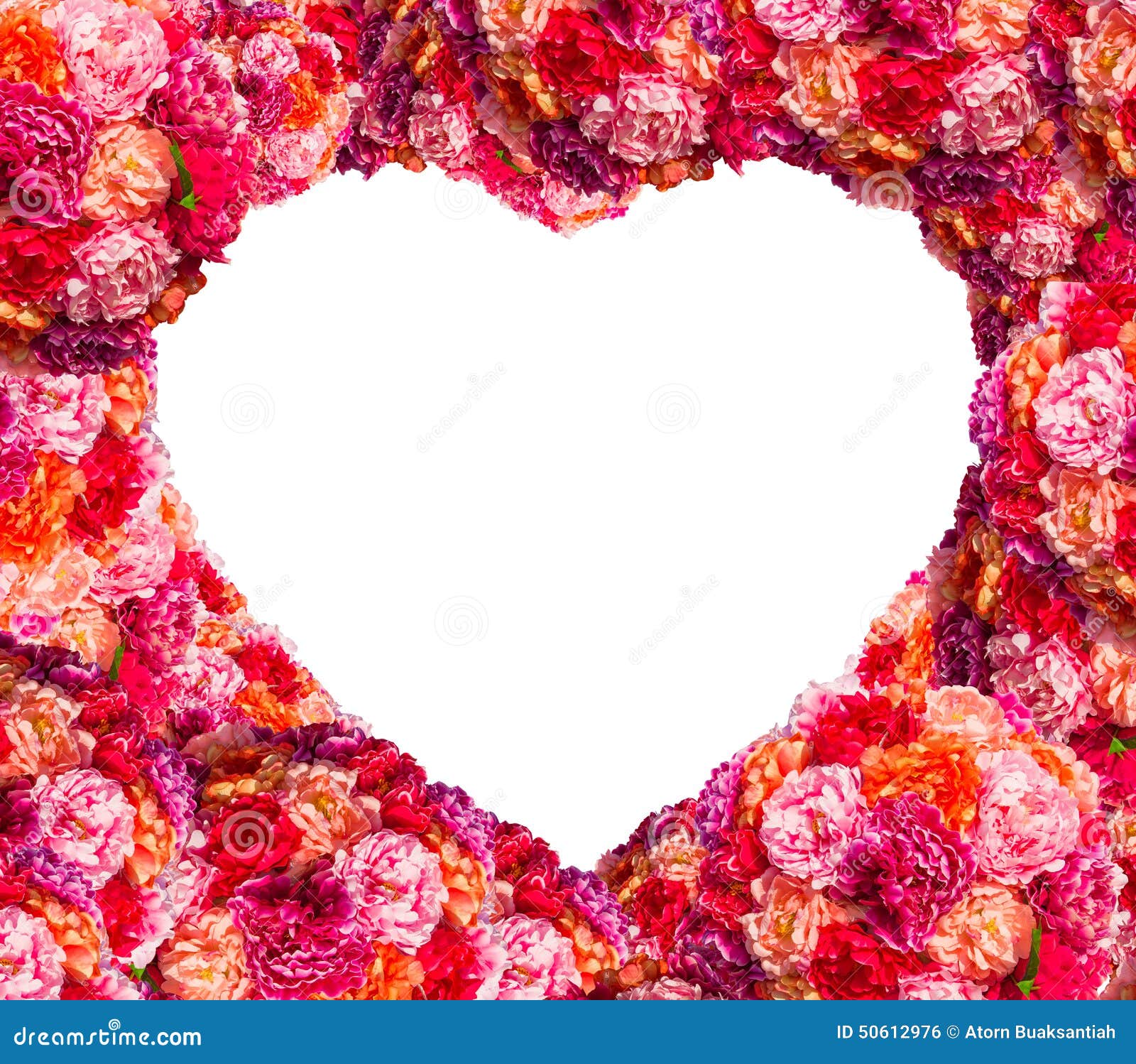 Fresh pink roses frame stock photo. Image of greeting - 50612976