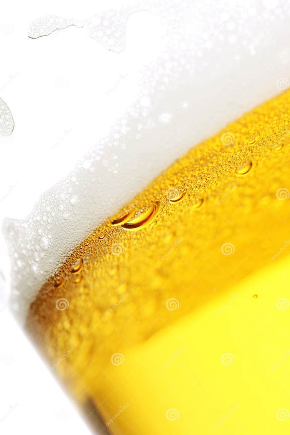 Fresh pint stock image. Image of amber, celebrate, abstract - 5519639