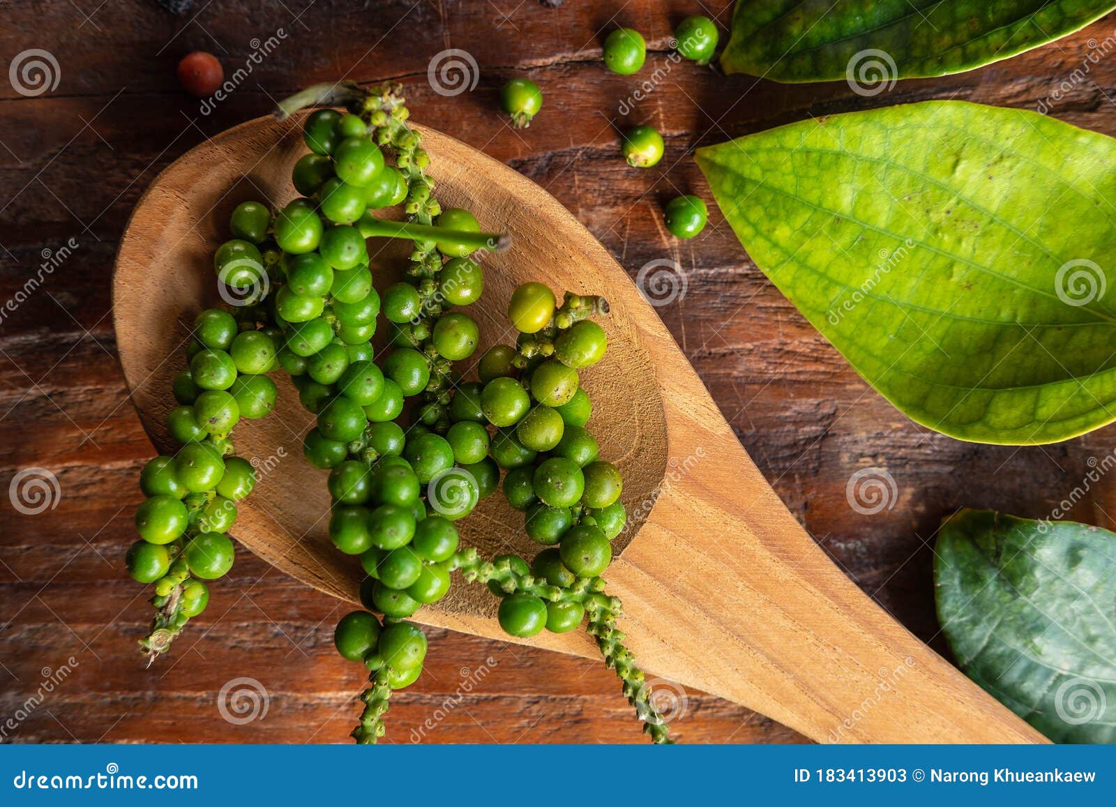 Fresh piper for cooking stock image. Image of aroma - 183413903