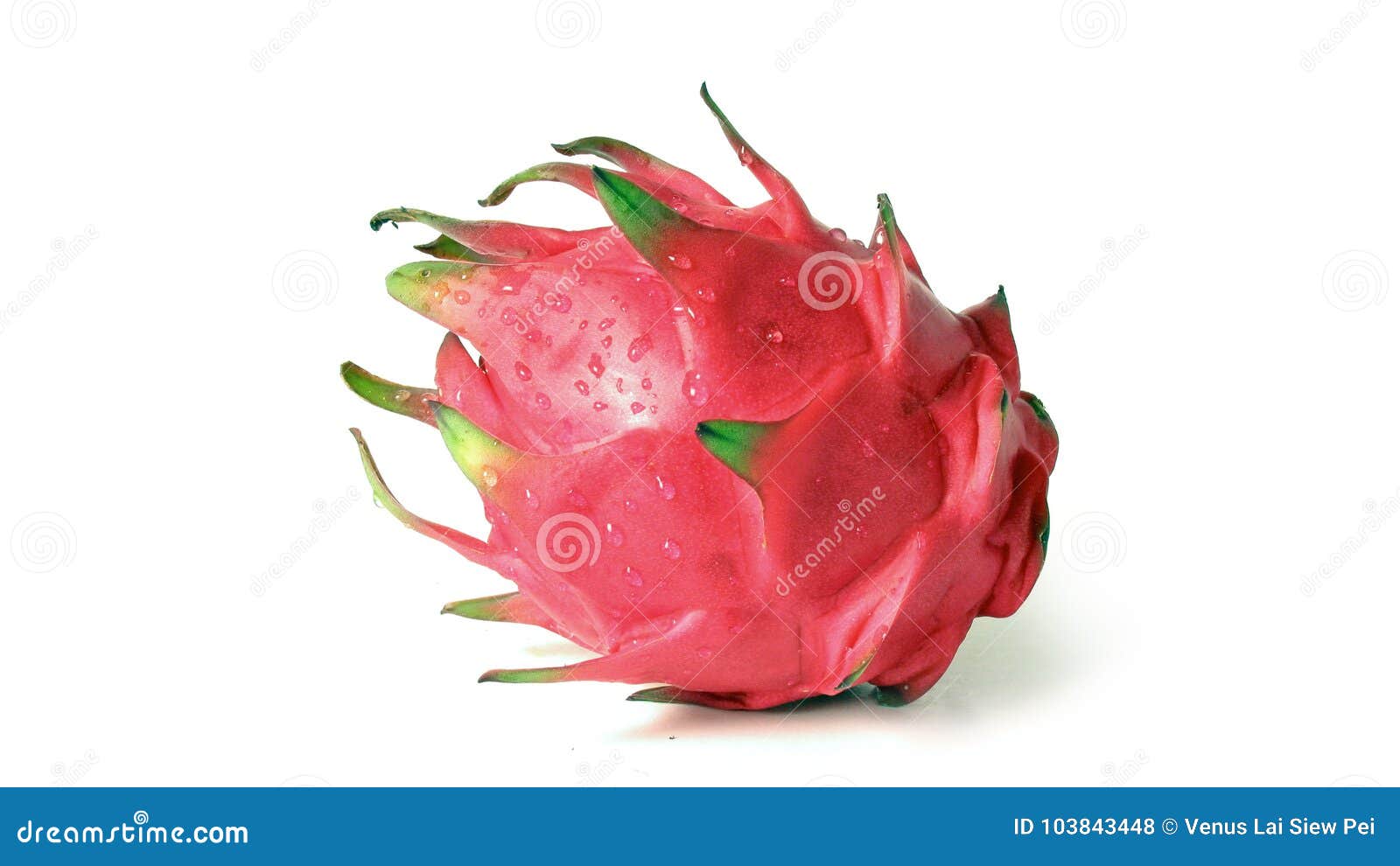 A Fresh Pitaya Fruit Photo stock photo. Image of fresh - 103843448