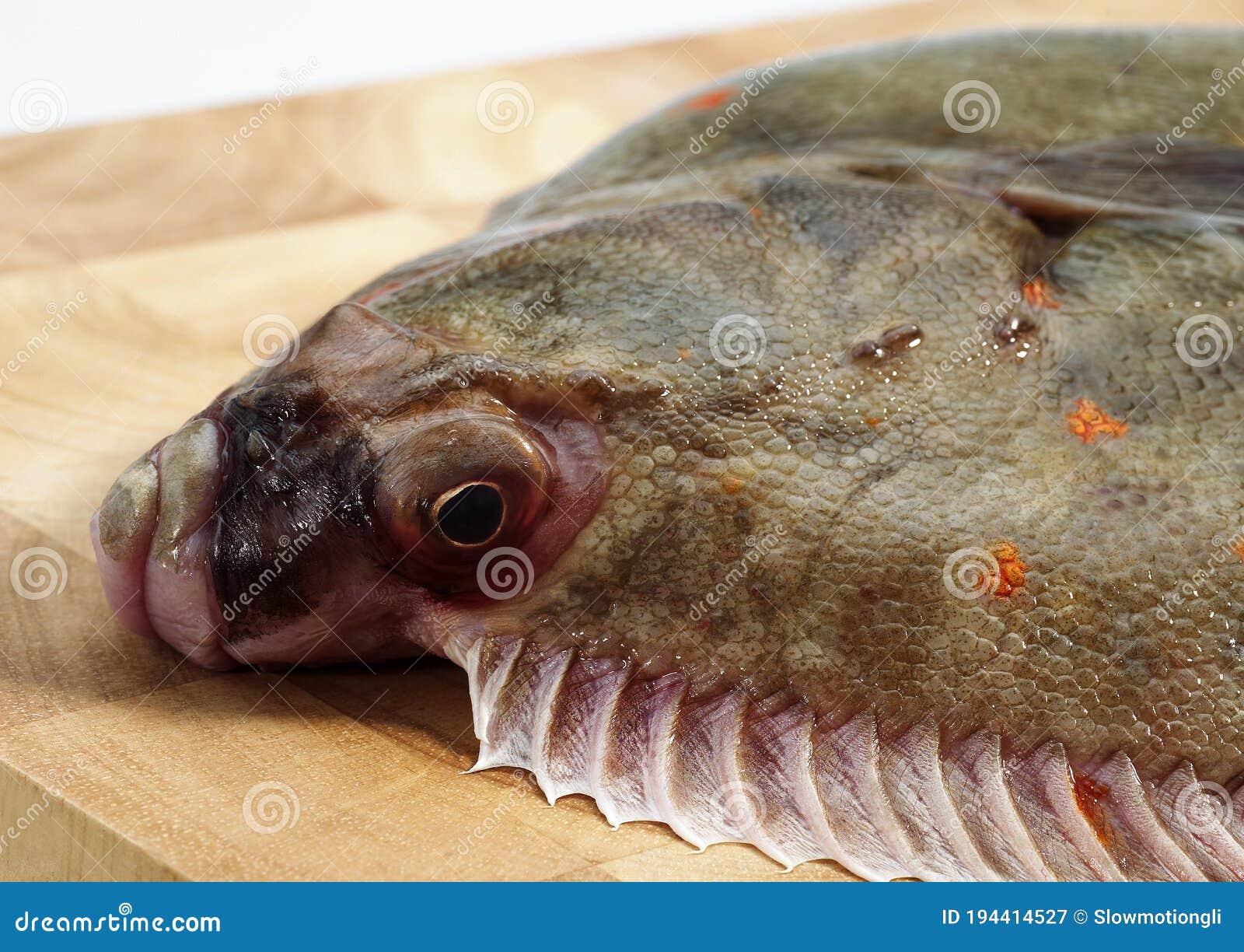 FRESH PLAICE Pleuronectes Platessa Stock Image - Image of shop, fish ...