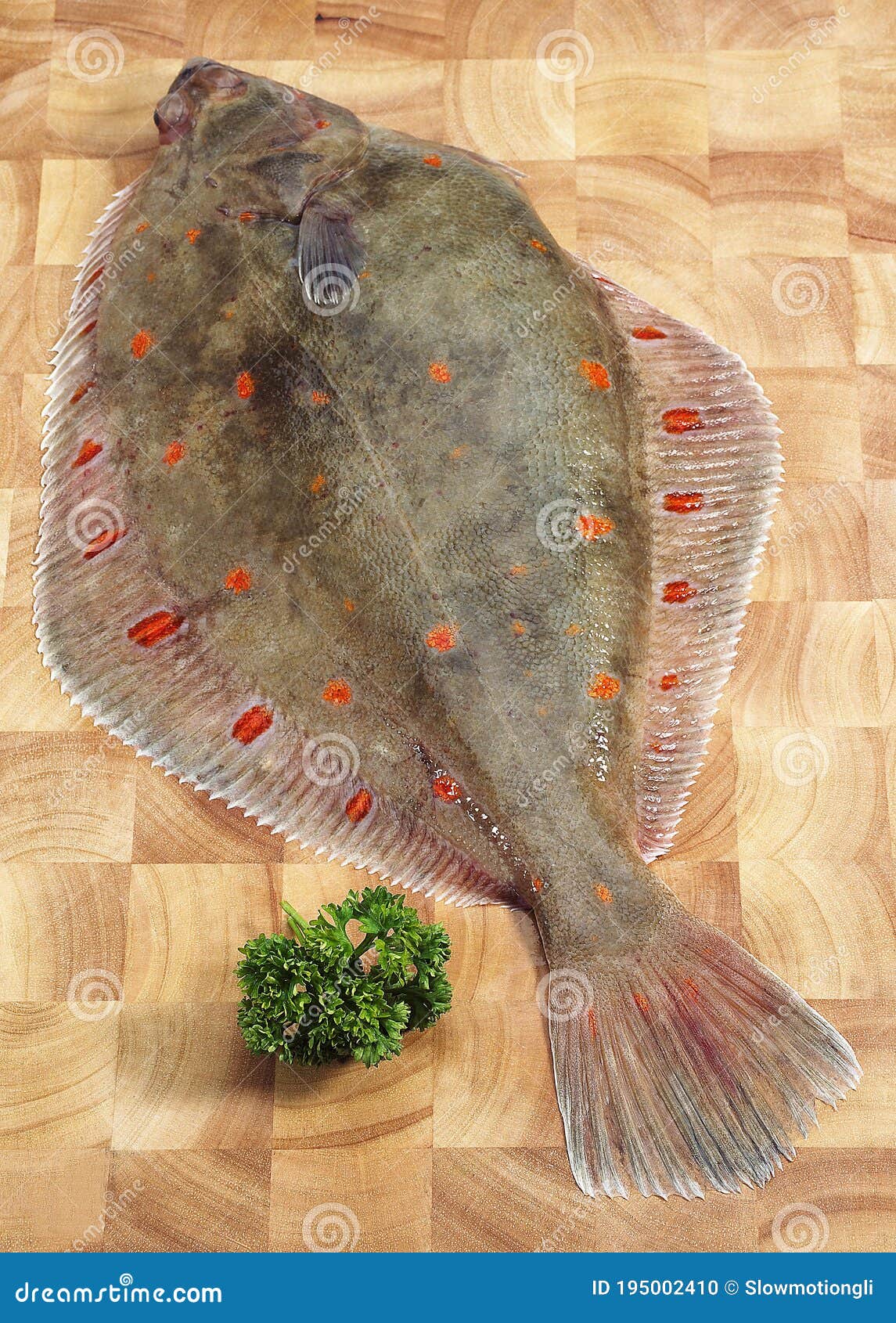 FRESH PLAICE Pleuronectes Platessa SITH PERSLEY Stock Photo - Image of ...