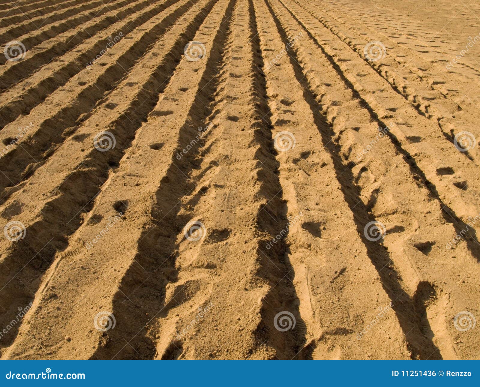 Fresh Plowed Ground Ready for Cultivation Stock Photo - Image of ...