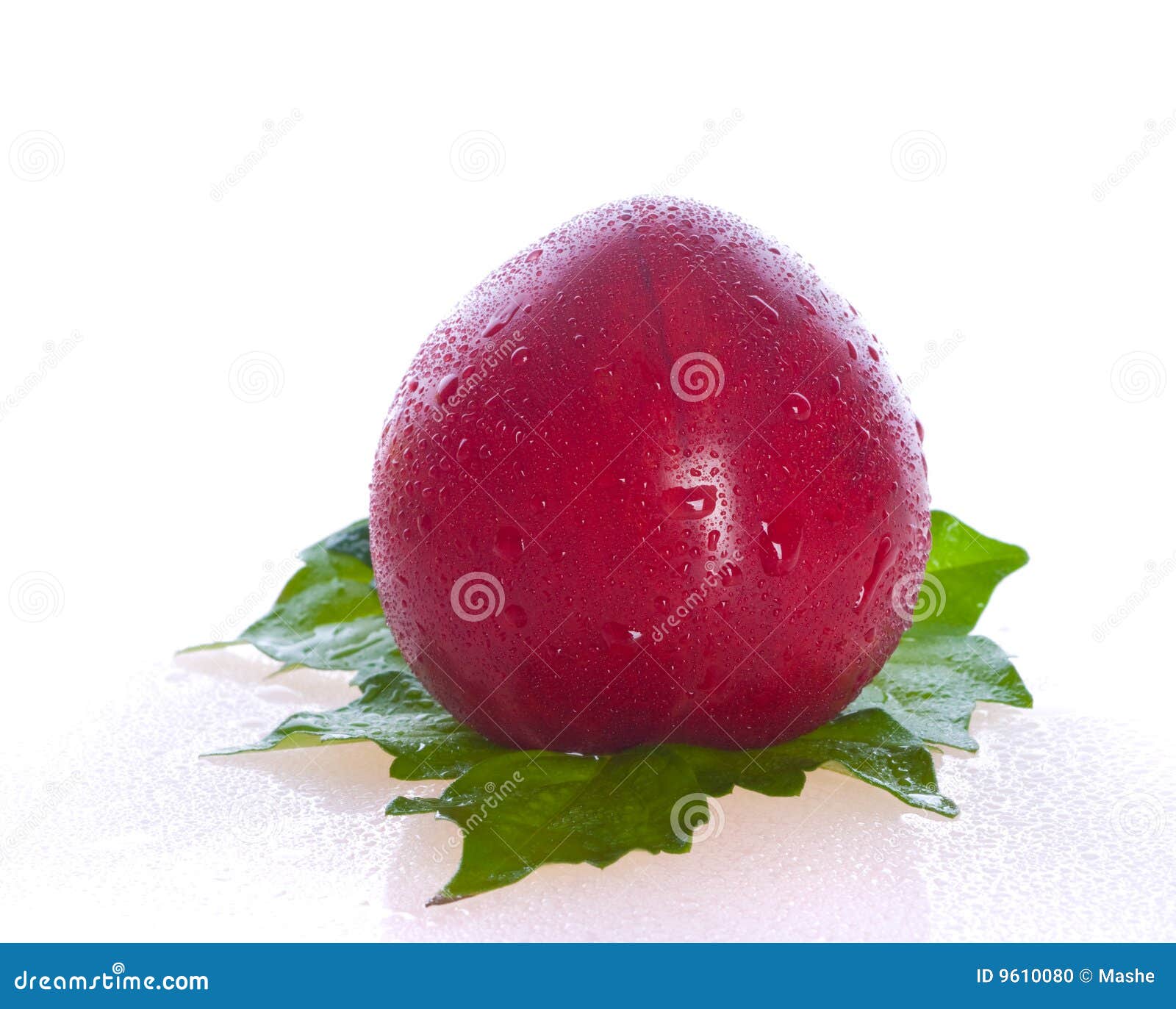 Fresh Plum stock photo. Image of yellow, isolated, delicacy - 9610080