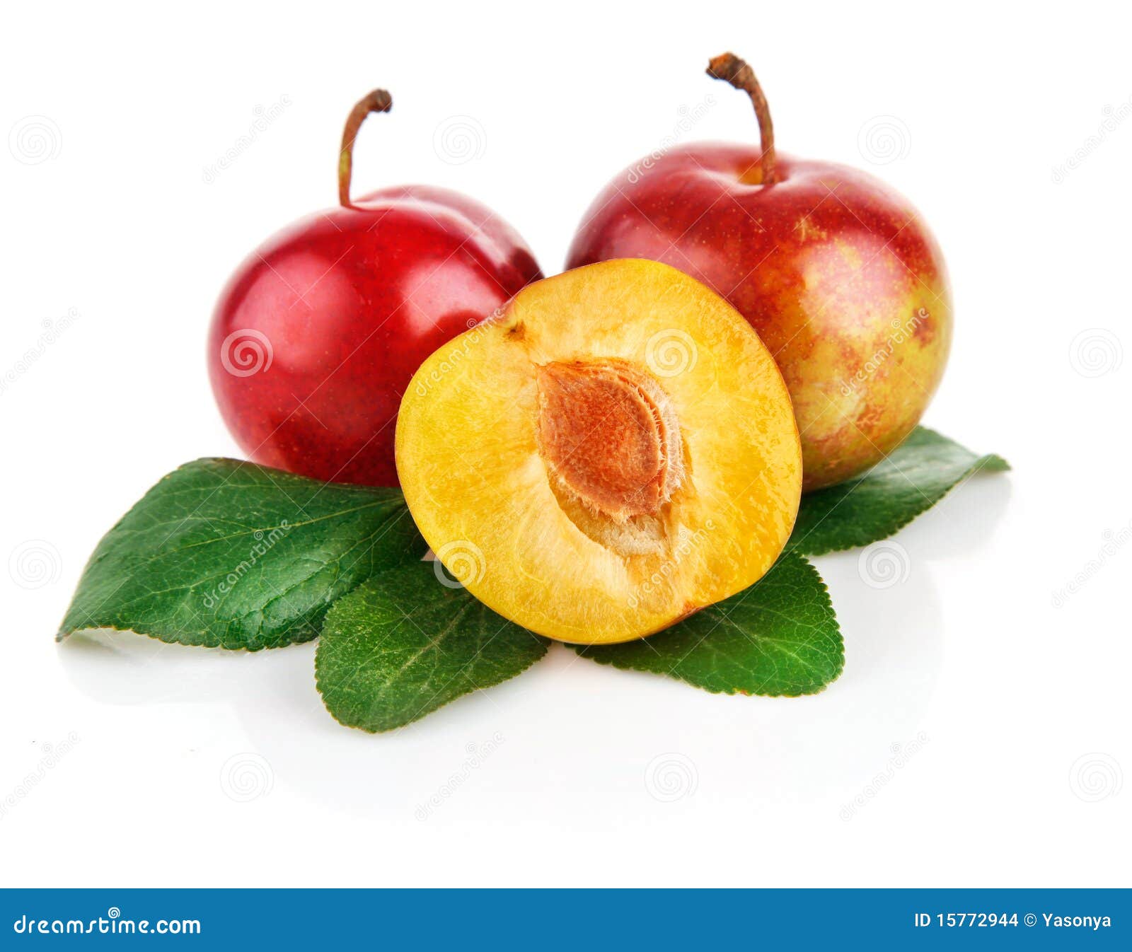 Fresh Plum Fruits with Green Leaves Stock Photo - Image of nutrition ...