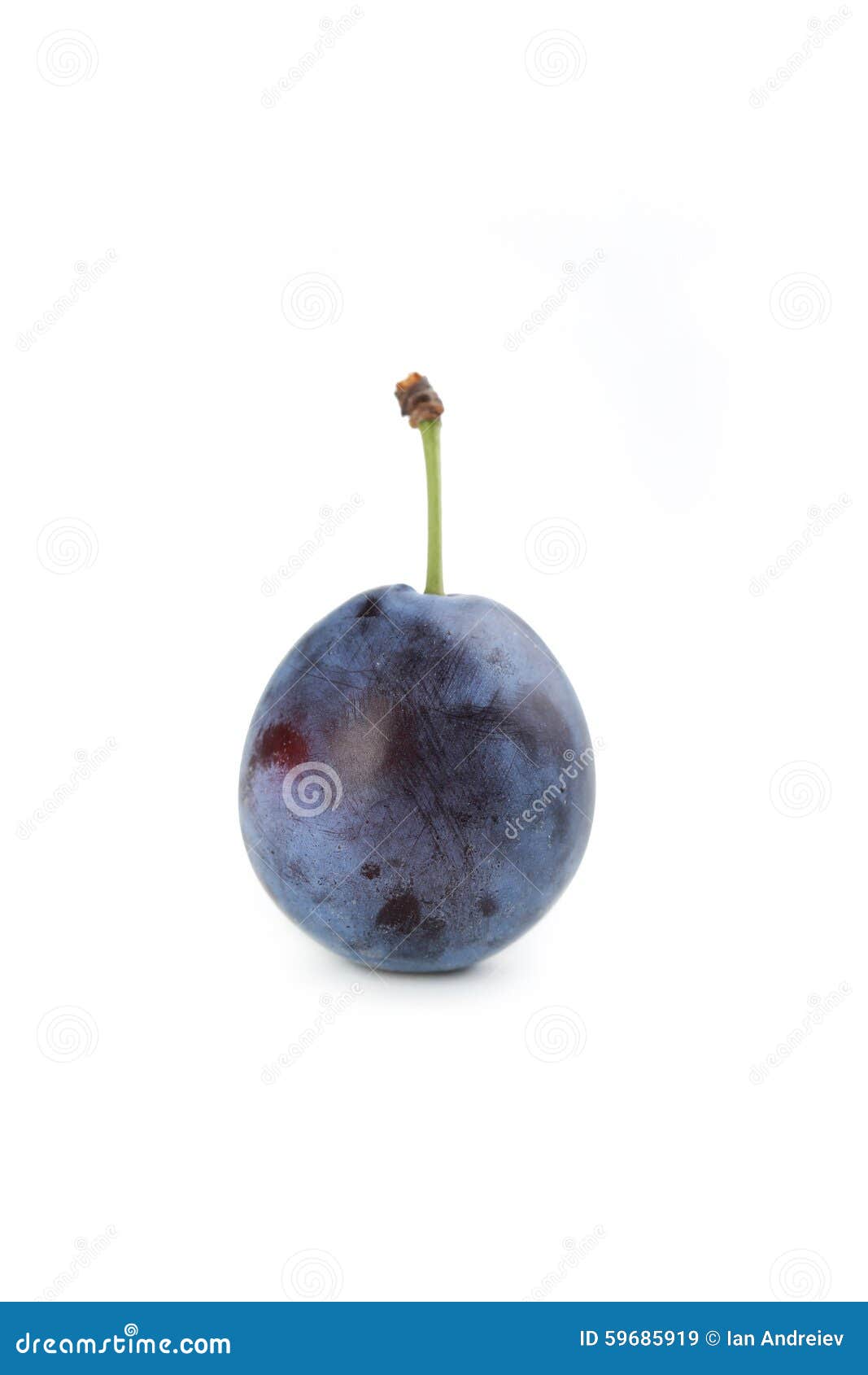 Fresh plum stock image. Image of fresh, organic, green - 59685919