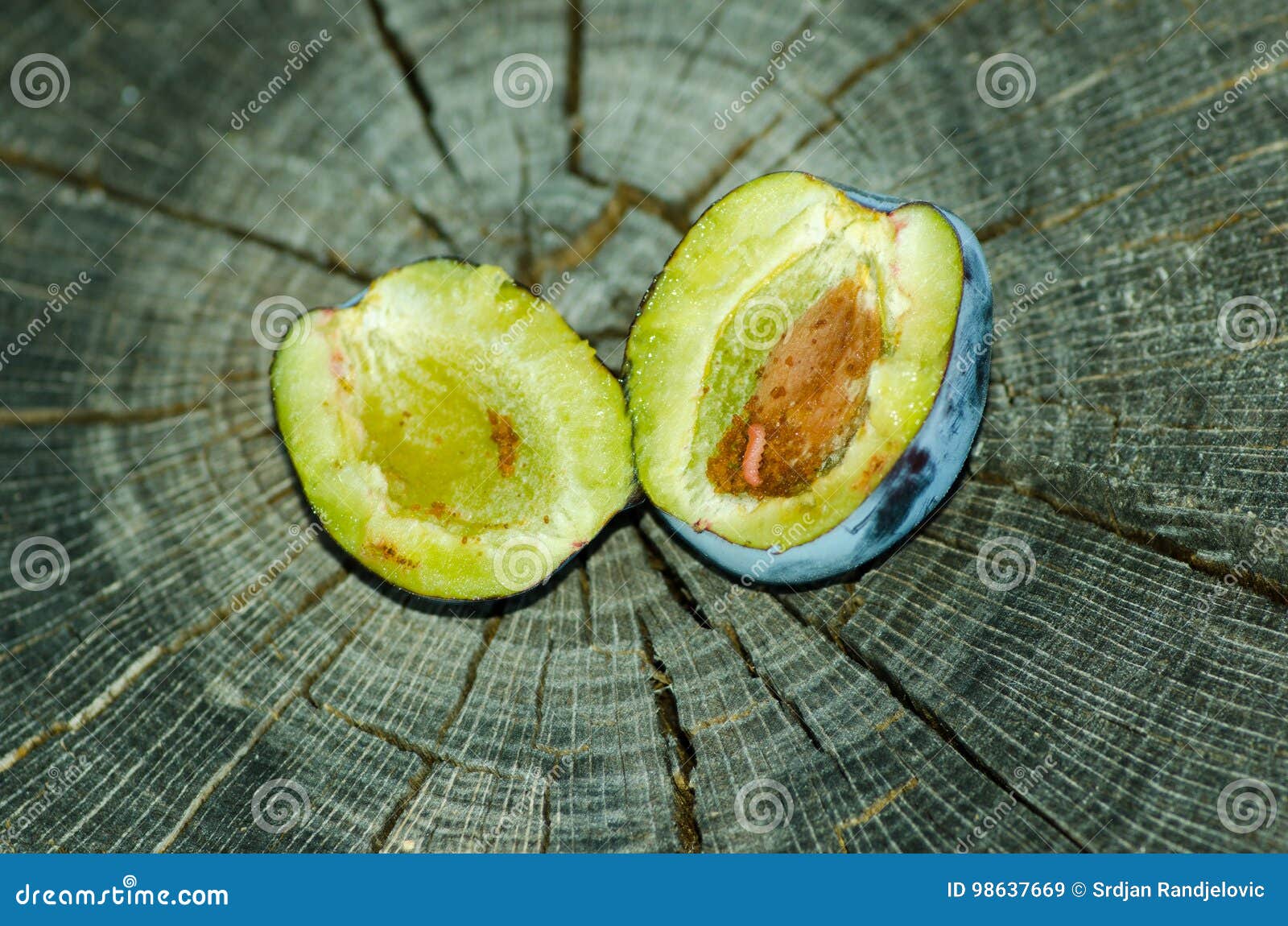 Fresh Plum with Worm Inside Close Up. Stock Image - Image of delicious ...