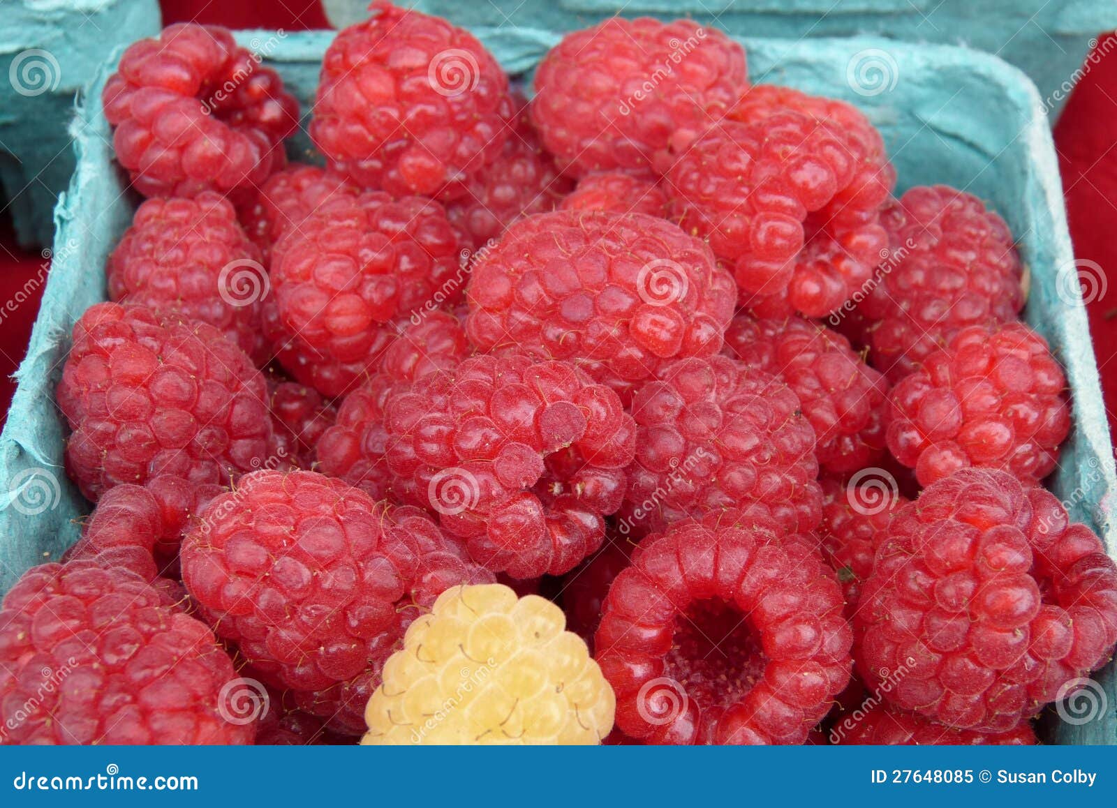 Fresh plump raspberries stock image. Image of agriculture - 27648085