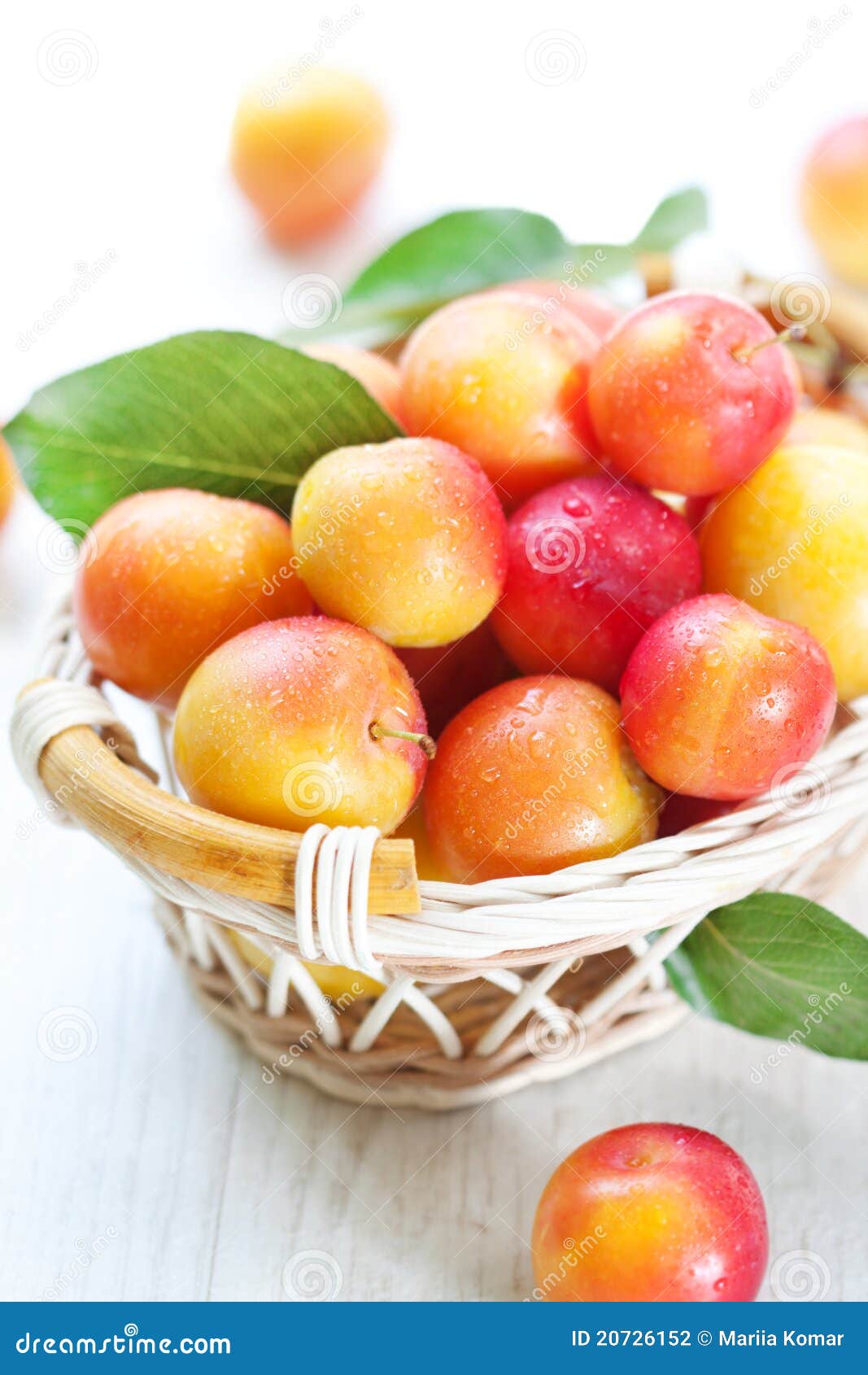 Fresh plums stock photo. Image of dessert, ingredient - 20726152