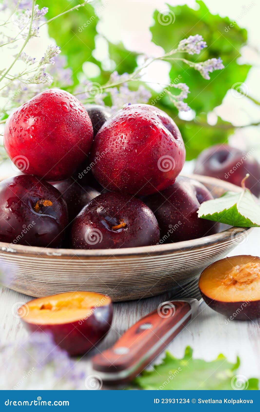 Fresh plums stock photo. Image of fruit, eating, life - 23931234