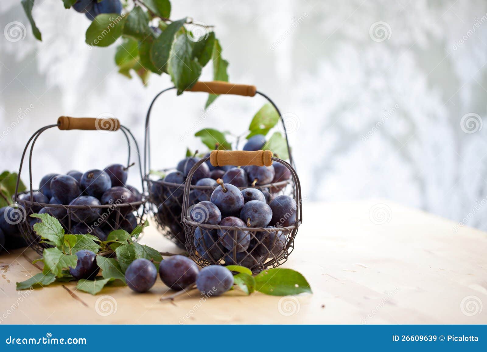 Fresh plums in baskets stock image. Image of table, leaves - 26609639