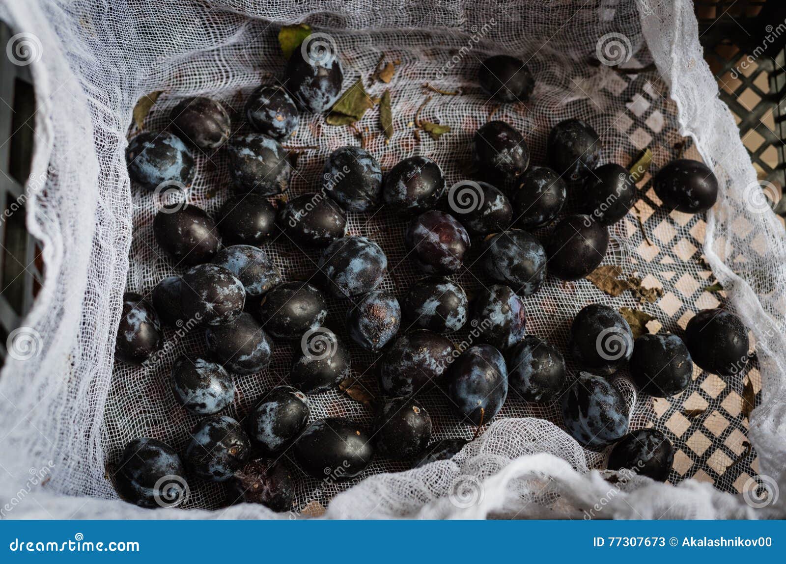 Fresh plums in a box stock image. Image of bright, edible - 77307673