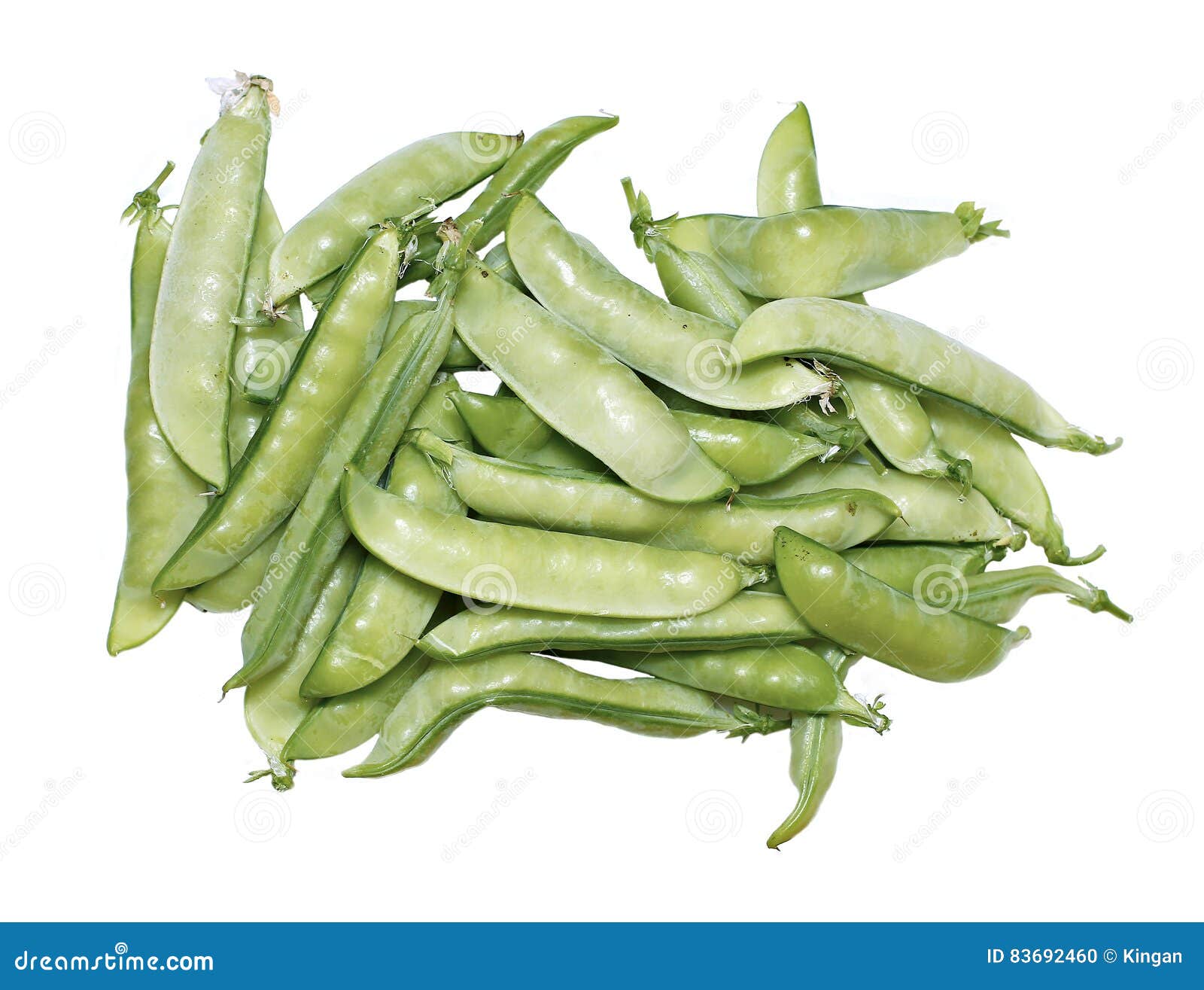 Fresh Pods of Peas Isolated Stock Photo - Image of harvest, pods: 83692460