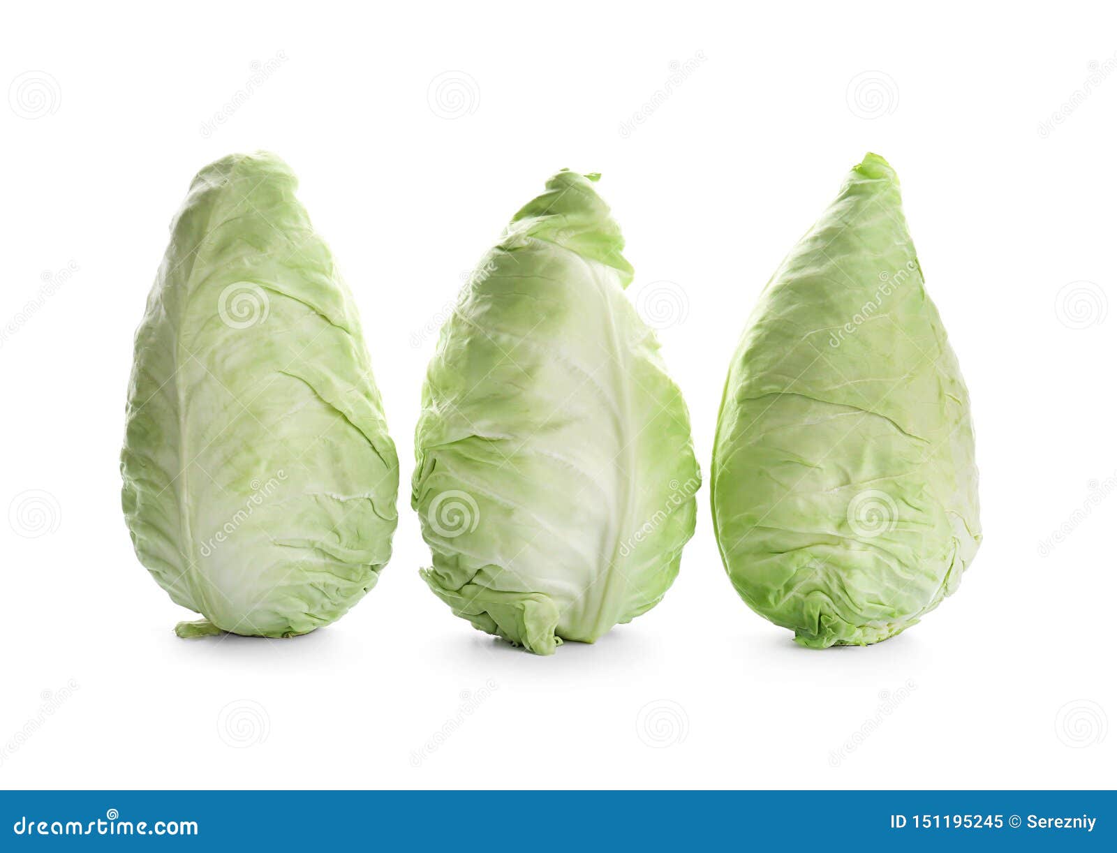 Fresh Pointed Cabbage on Color Background Stock Image - Image of head ...