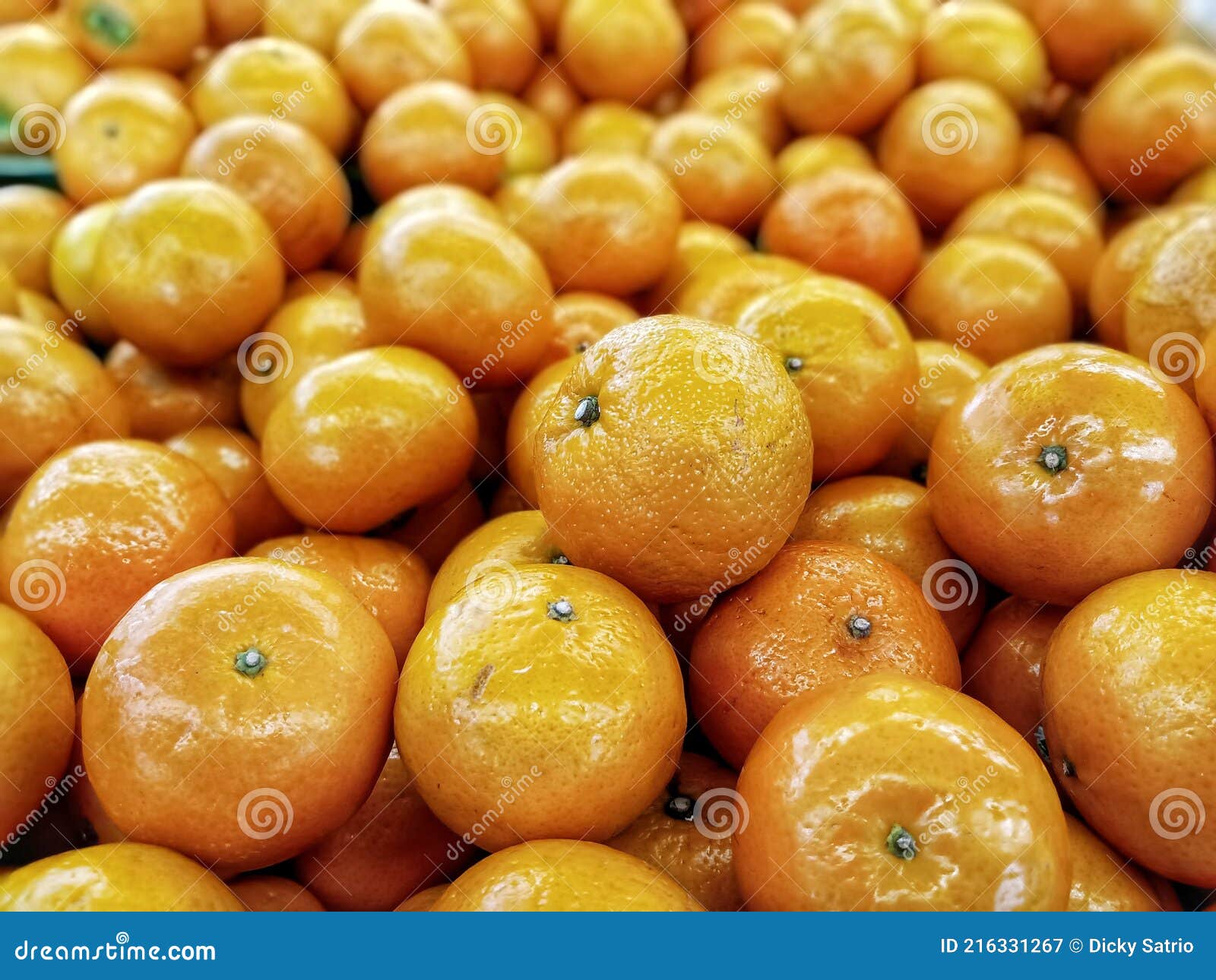 Fresh Pokam Stock Photos - Free & Royalty-Free Stock Photos from Dreamstime