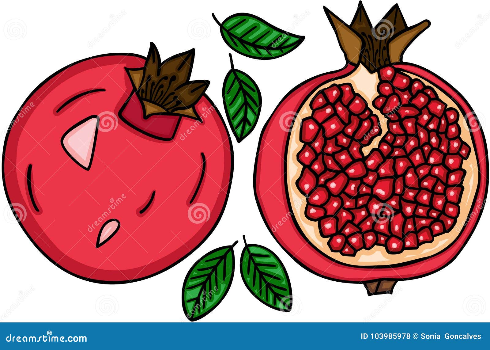 Pomegranate Fruit On Red Background Cartoon Vector | CartoonDealer.com ...