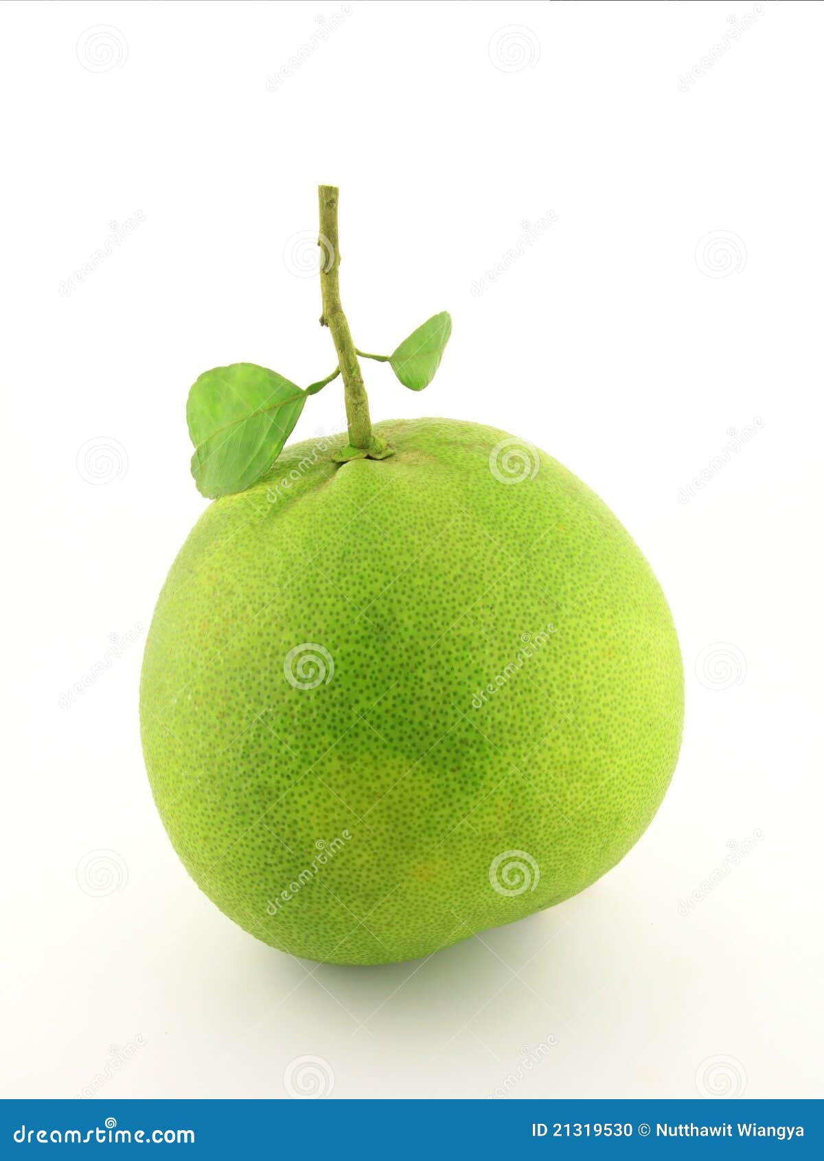 Fresh pomelo stock photo. Image of background, studio - 21319530