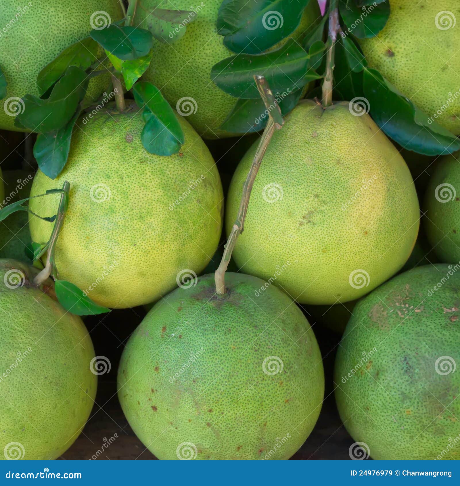 Fresh pomelo stock image. Image of vitamin, sweet, shad - 24976979