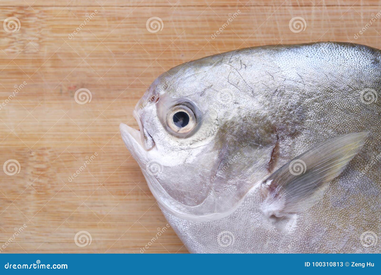 Fresh pomfret stock image. Image of aquatic, meat, creature - 100310813