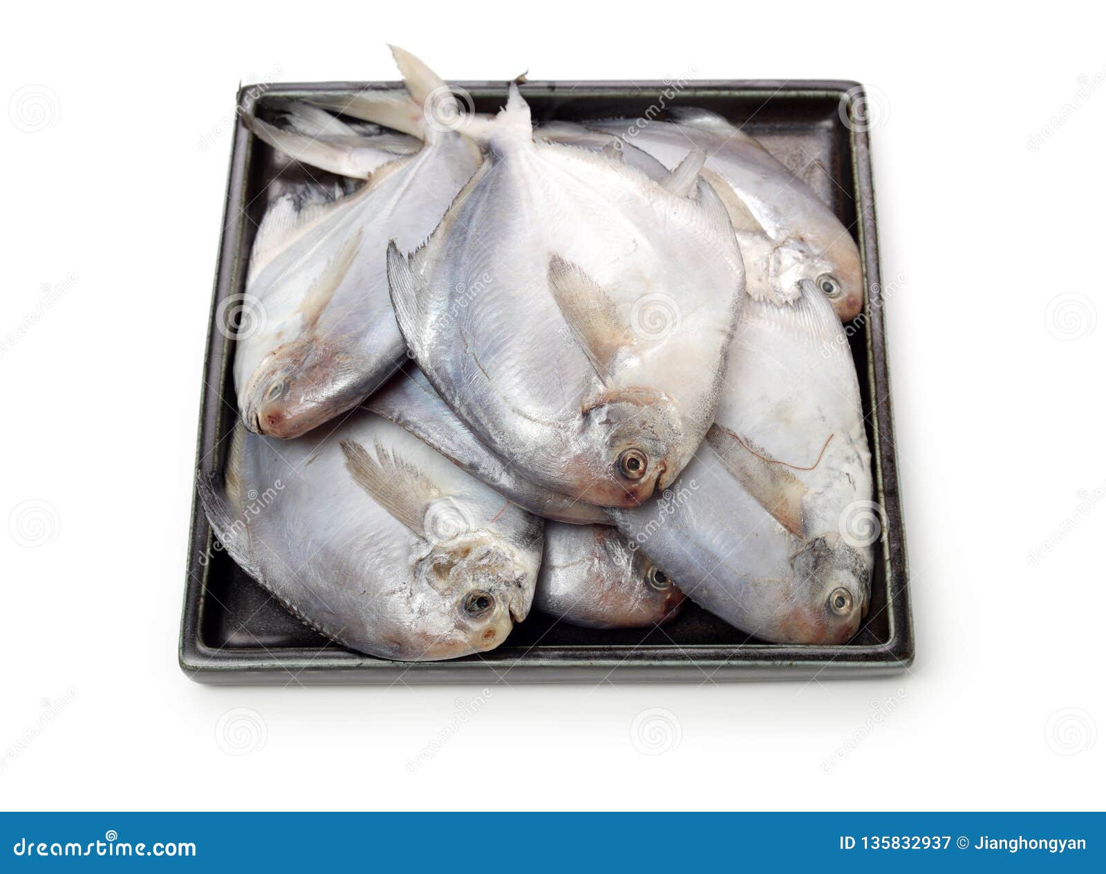 Fresh pomfret stock image. Image of isolated, delicacy - 135832937