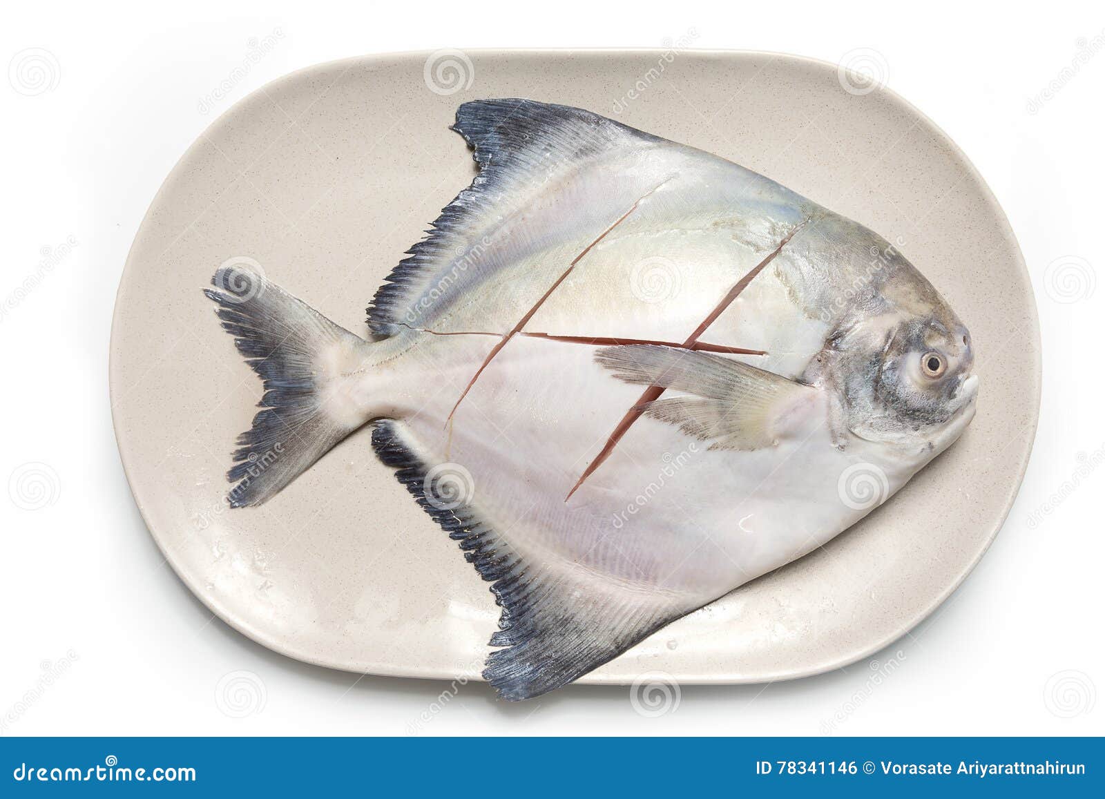 White Pomfret