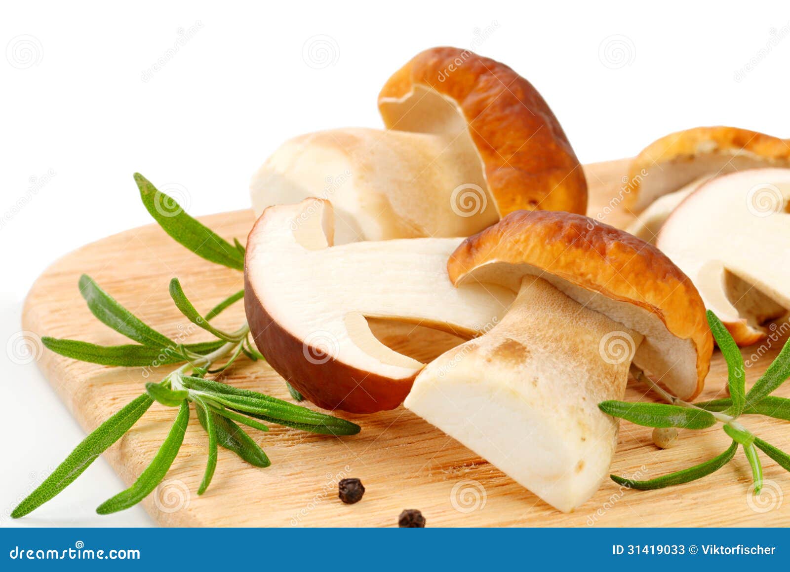 Fresh porcini mushrooms stock image. Image of mushroom - 31419033