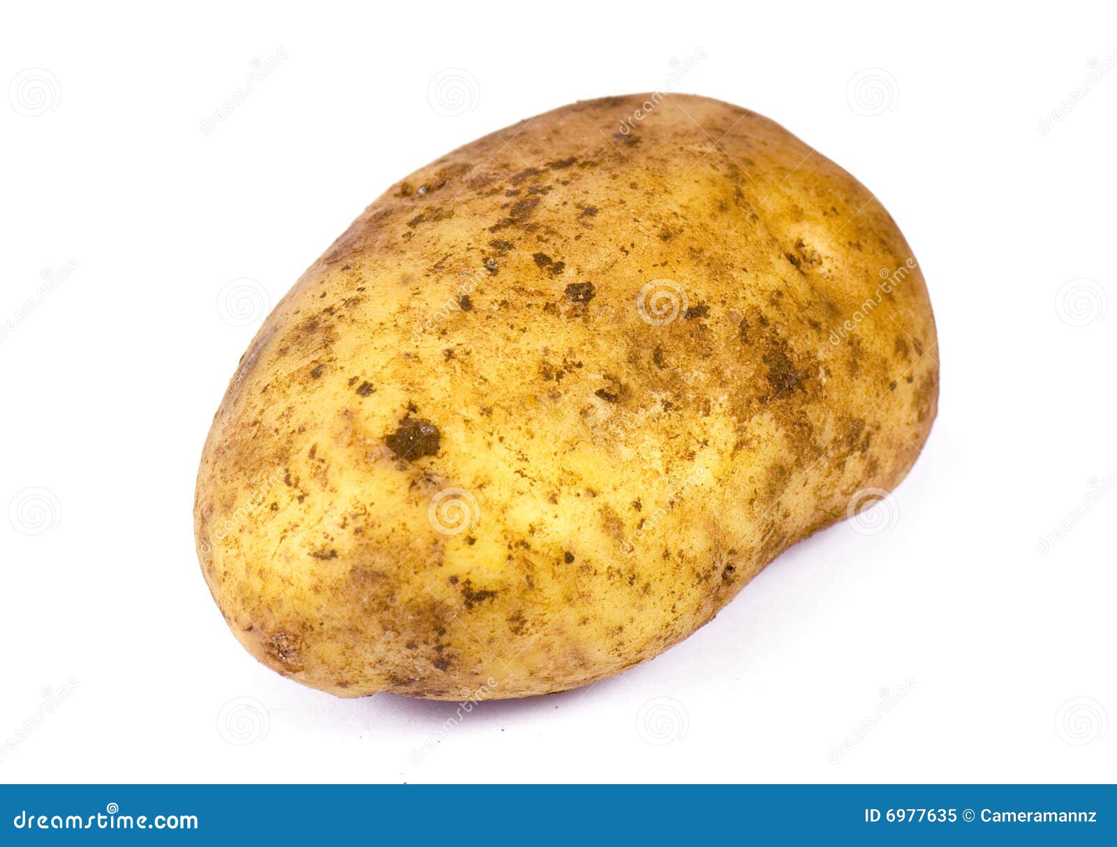 Fresh Potato stock image. Image of background, healthy - 6977635