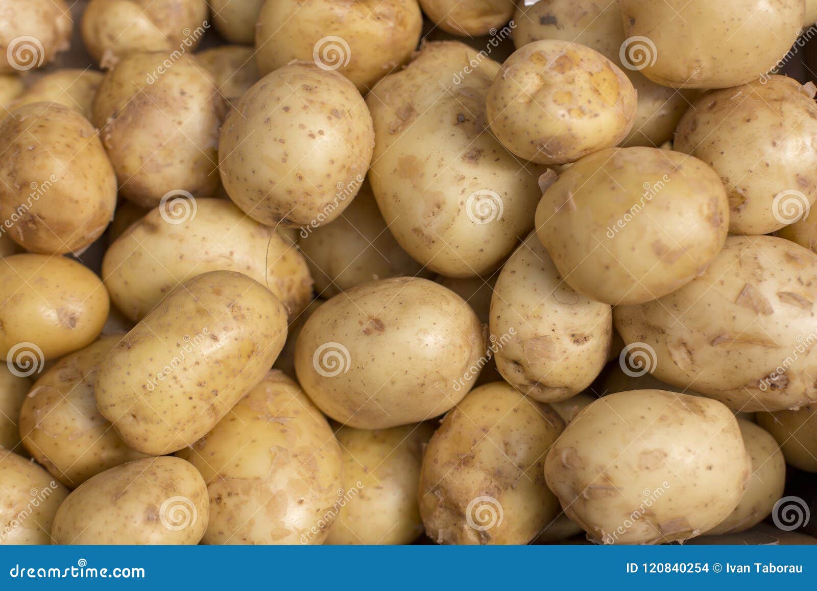 Fresh POTATO Abstract Fruit Colorful Pattern Texture Background Stock ...