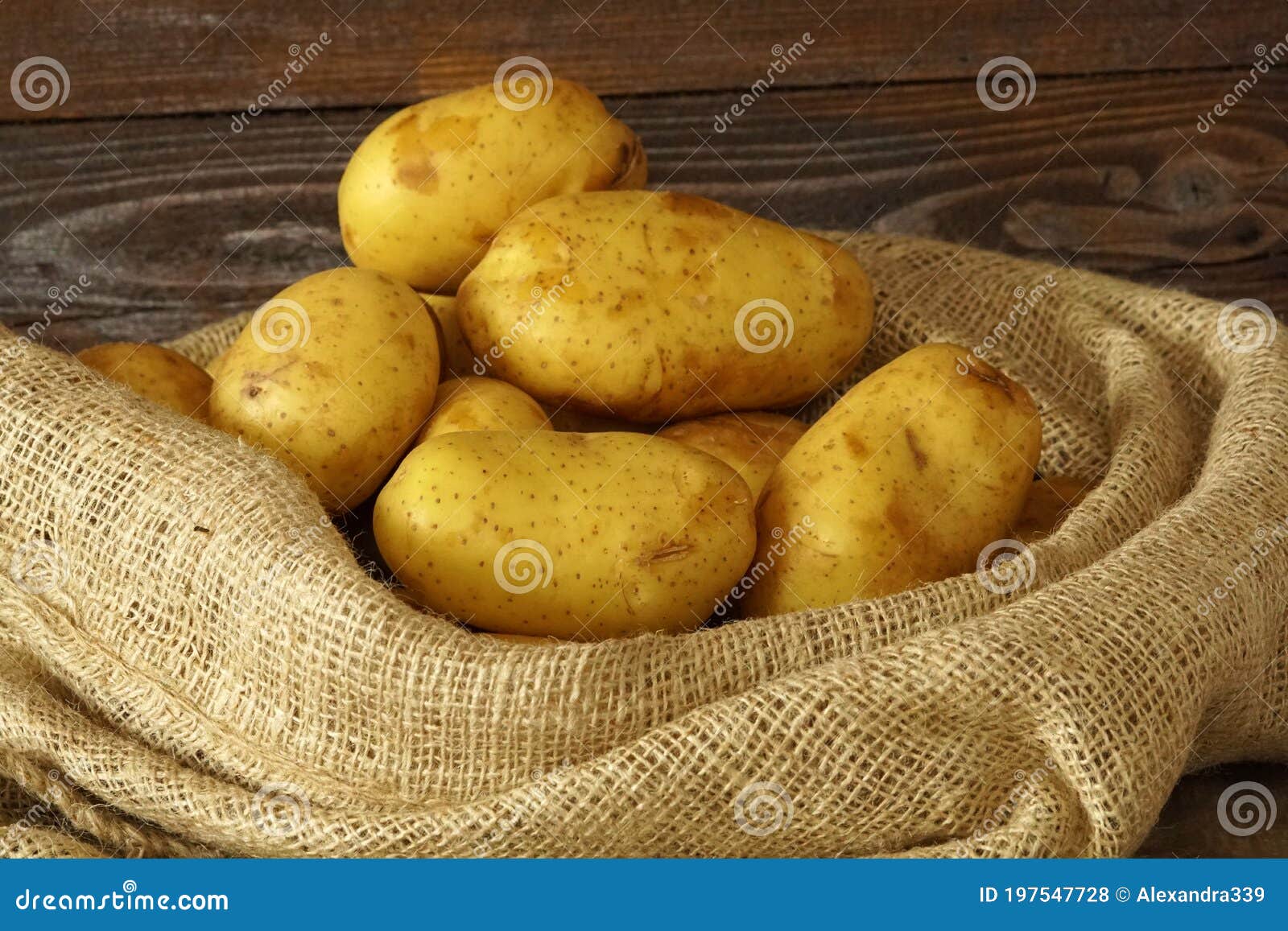 Fresh Potatos in Bag after Harvest Stock Photo - Image of farmer, vegan ...