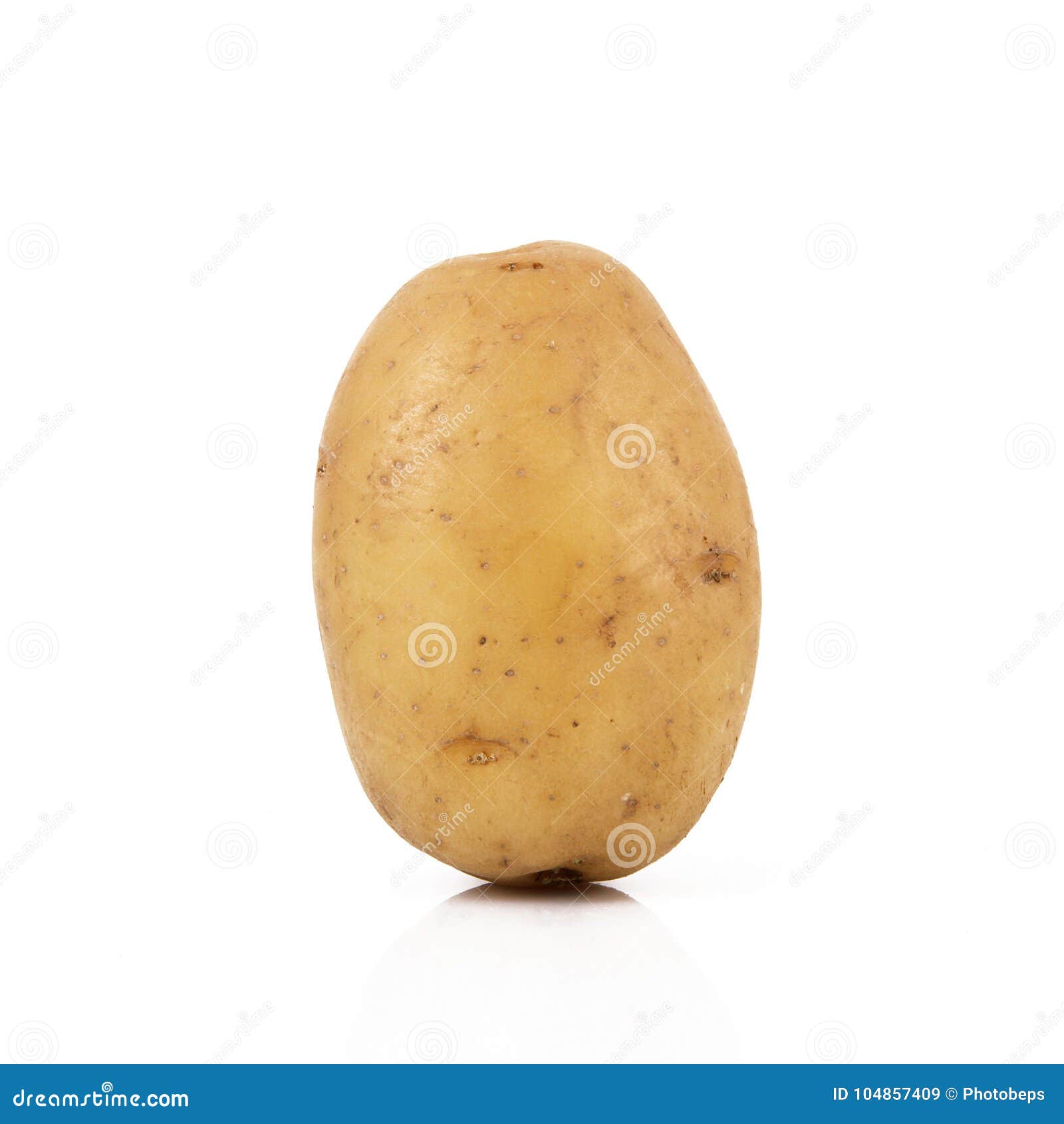 Fresh Potato on White Background Stock Image - Image of background ...
