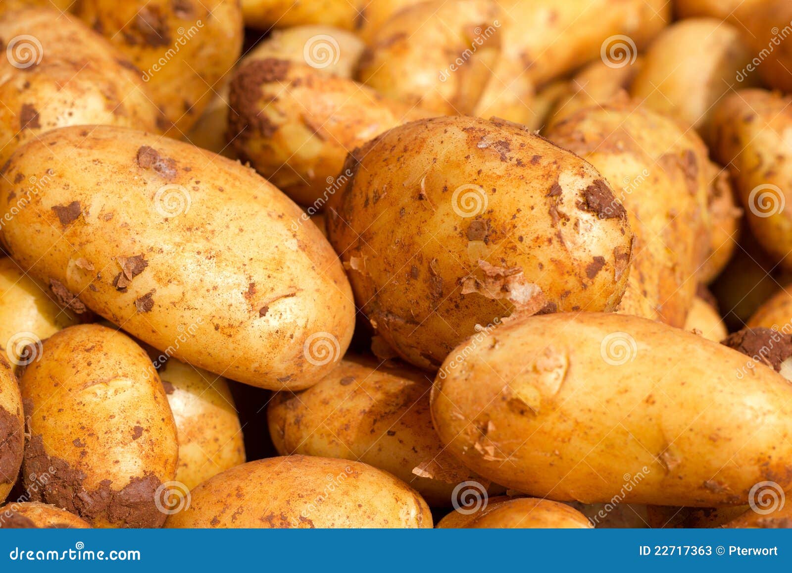 Fresh potatoes stock image. Image of health, spring, harvest - 22717363