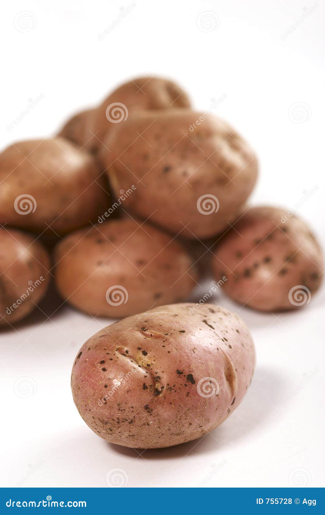 Fresh potatoes stock photo. Image of market, diet, potatoes - 755728