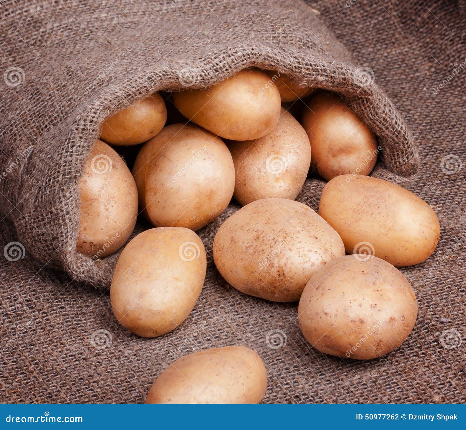 Fresh potatoes in bag stock photo. Image of healthy, white - 50977262
